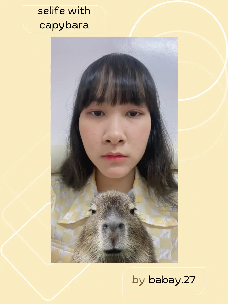 ฟิลเตอร์ไอจีหน้าสัตว์ - การค้นหาใน Lemon8