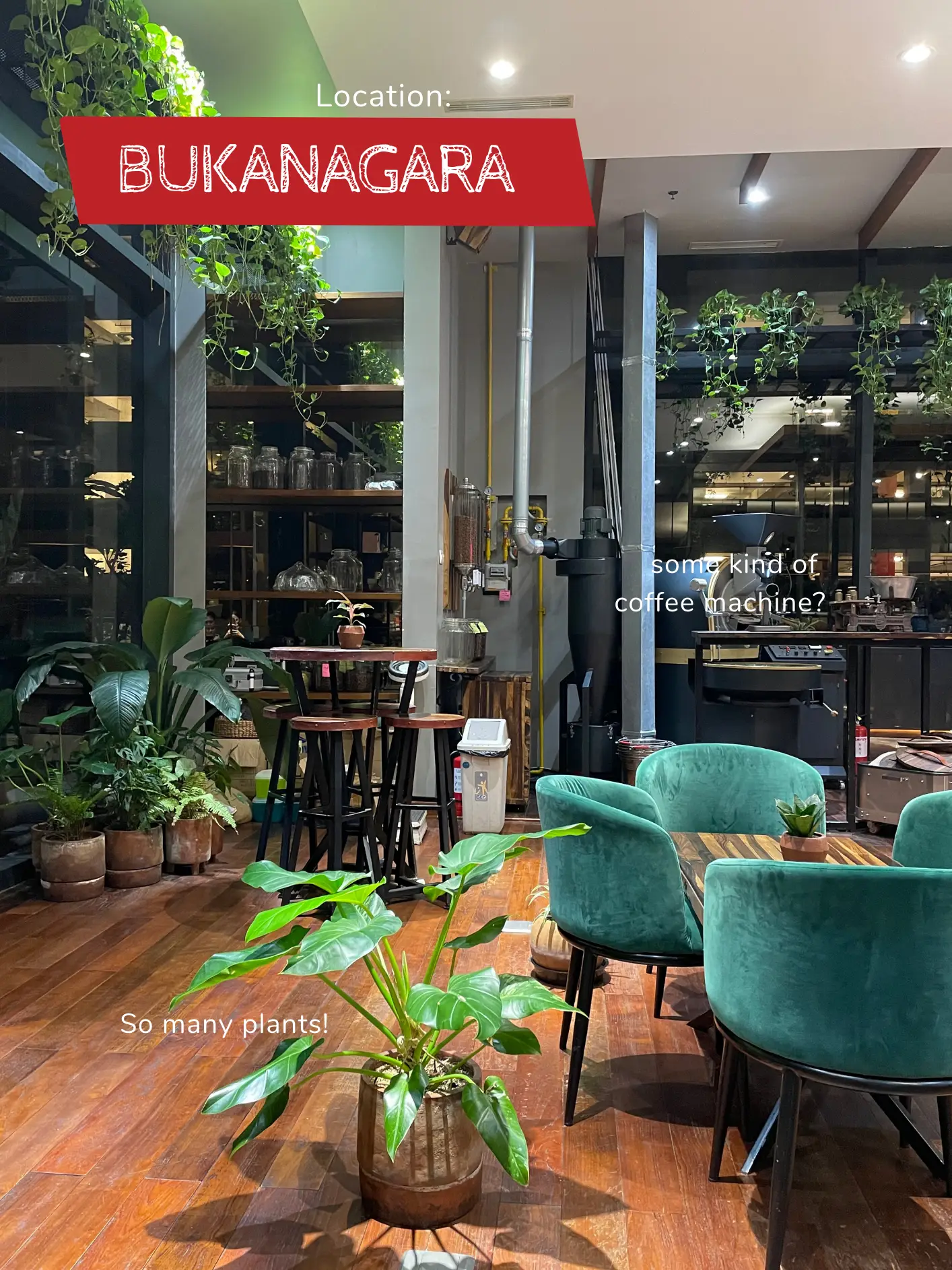 CAFE TOTORO JAKARTA PUNYA! | Galeri diposting oleh ayyas | Lemon8