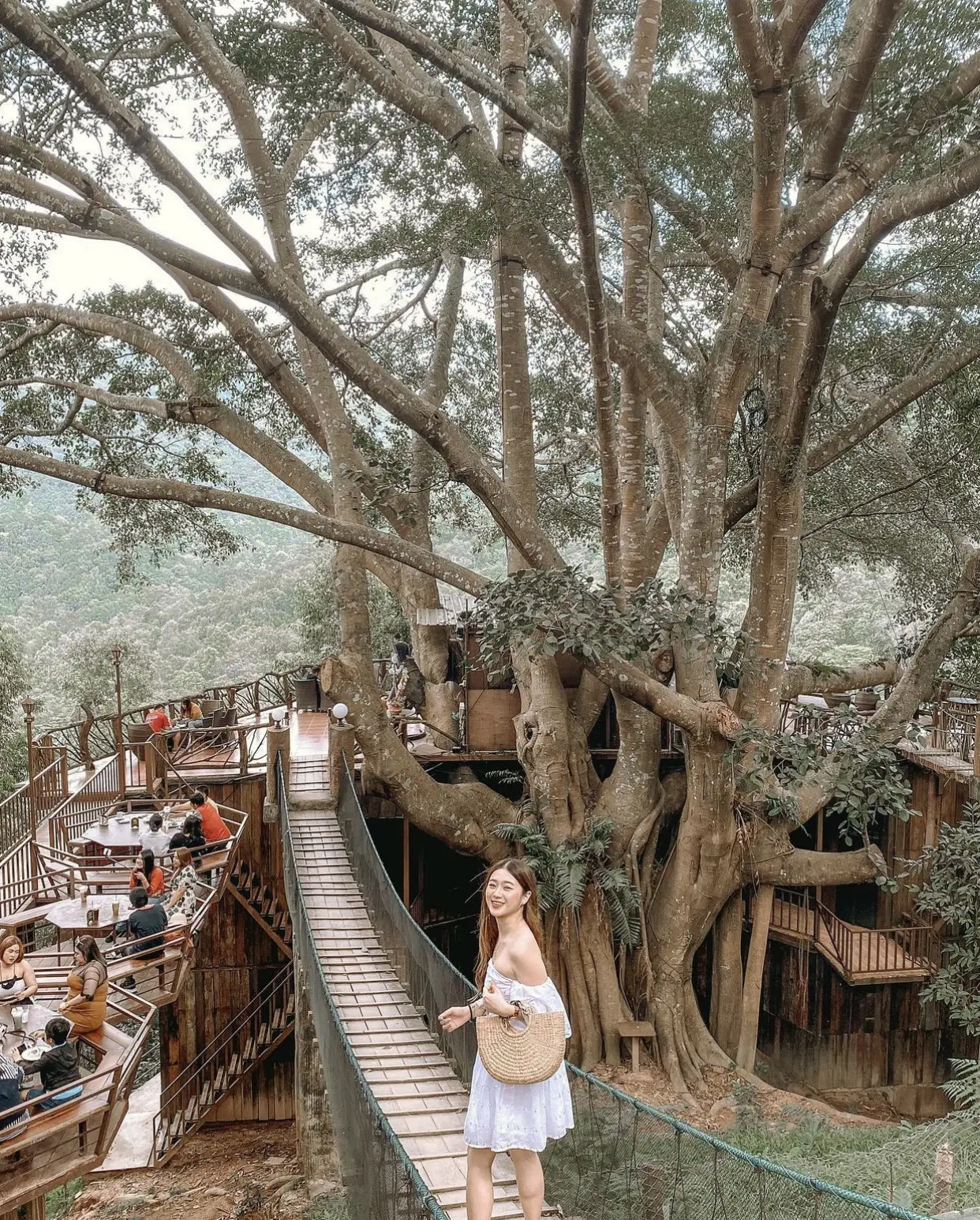 The Giant cnx🪵🍃 คาเฟ่แม่กำปองที่วิวโคตรว้าวว🤩🤍 | แกลเลอรีที่โพสต์โดย Benjarat St | Lemon8