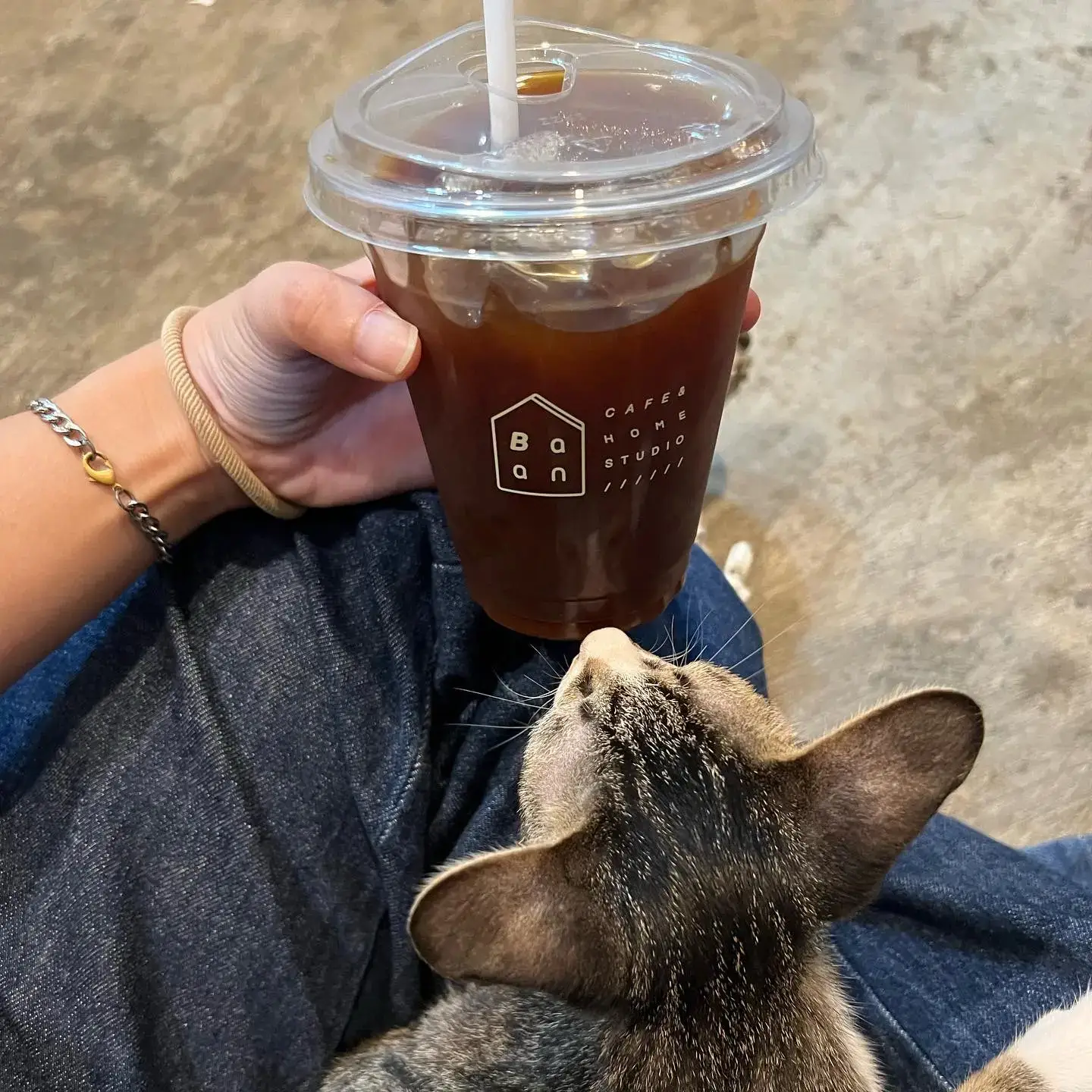 ‘Baan’ ร้านกาแฟน่ารักๆที่มีเจ้าเหมียวมารอต้อนรับ 🏡💓 | แกลเลอรีที่โพสต์ ...