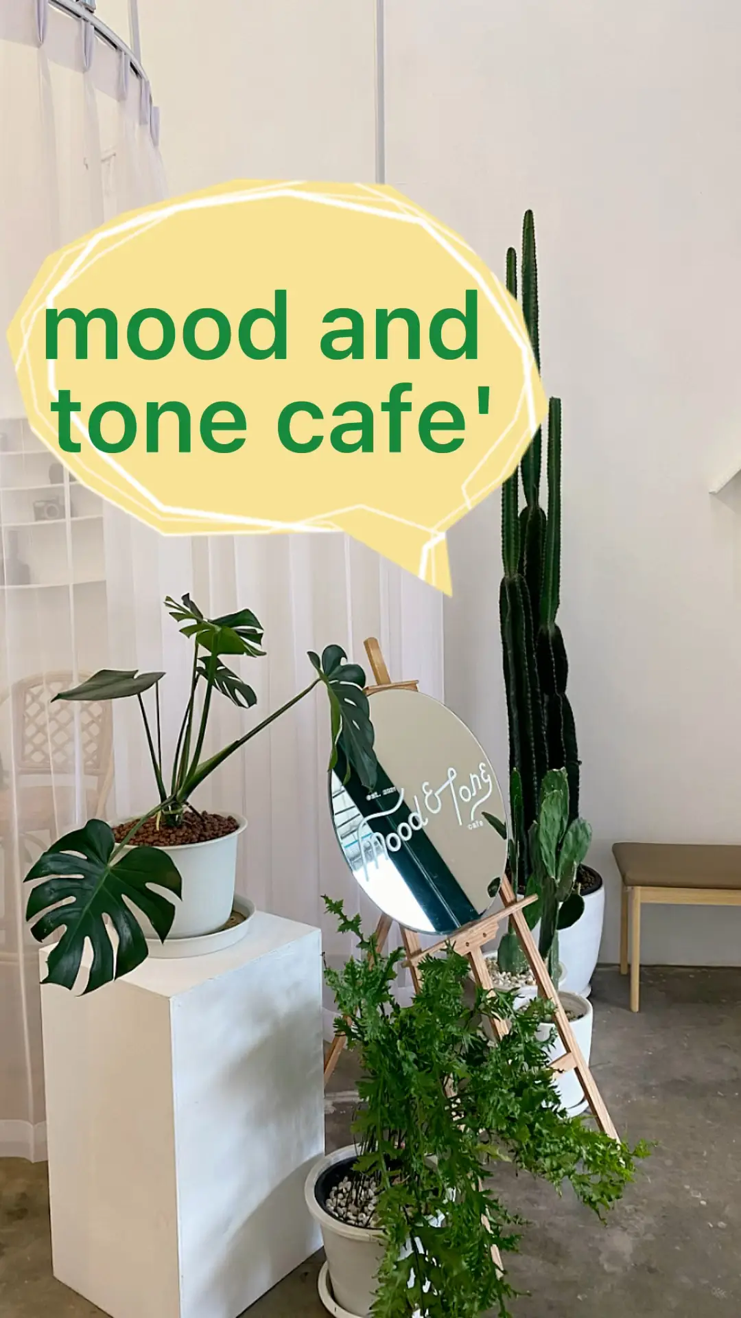 Mood and Tone Cafe' #ใจกลางเมืองขอนแก่น ☕️ | วิดีโอที่เผยแพร่โดย Angpaopao.k | Lemon8