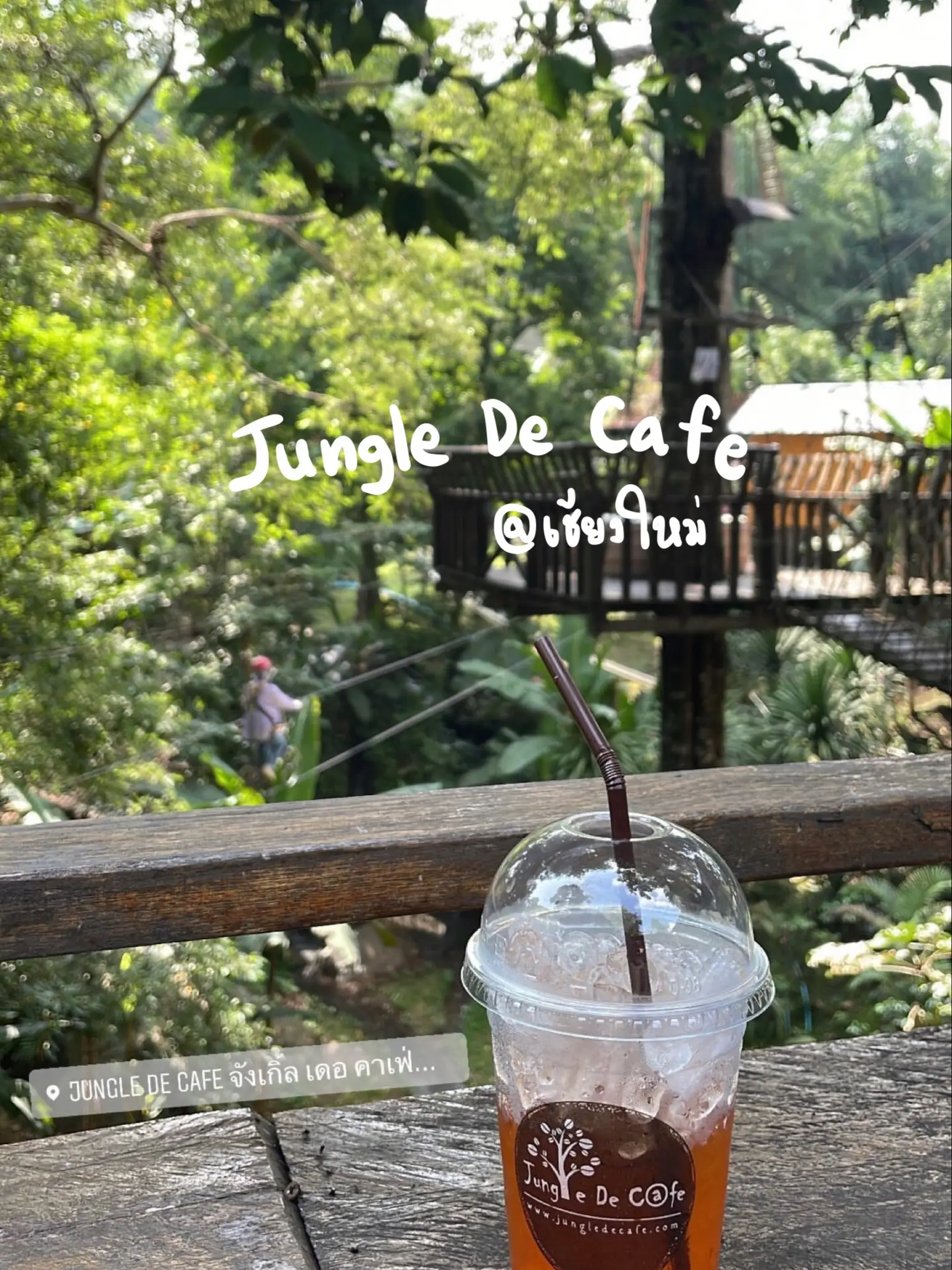 Jungle De Cafe @เชียงใหม่ | วิดีโอที่เผยแพร่โดย ssmildss | Lemon8