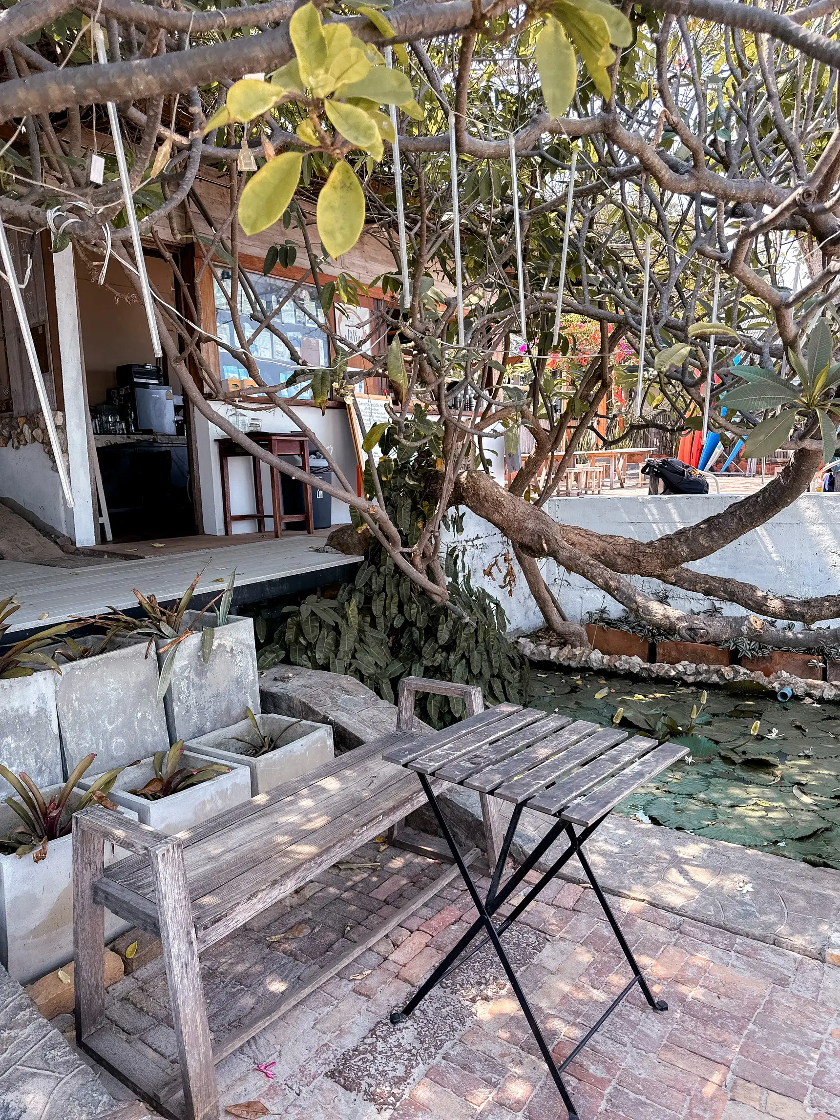 📸 รีวิวคาเฟ่ : 𝐃𝐫𝐢𝐩 𝐑𝐢𝐦 𝐋𝐚𝐲 คาเฟ่หัวหินเปิดใหม่ | แกลเลอรีที่โพสต์โดย ...