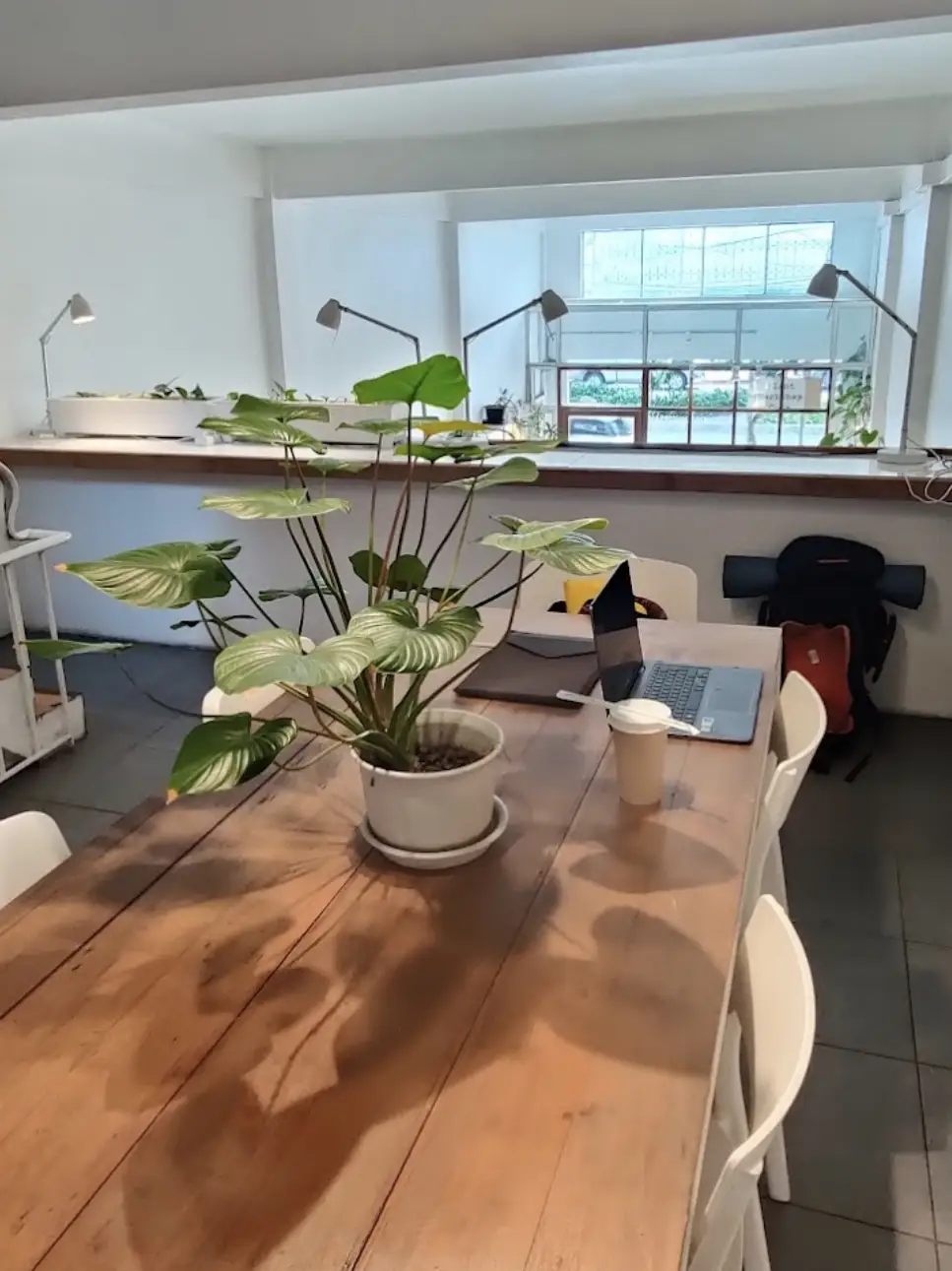 Plant Workshop Cafe คาเฟ่ล้อมไปด้วยต้นไม้ ใกล้BTSราชเทวี | Gallery posted by tuthaaaa | Lemon8