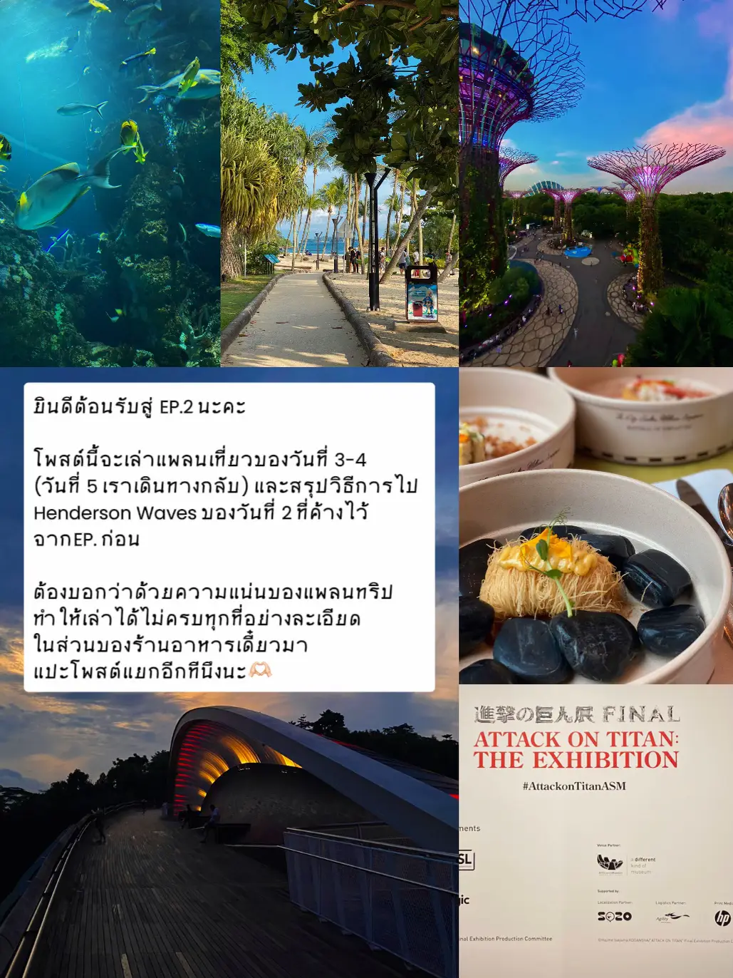 シンガポールの正午だけ👀🇸🇬独身。5日間。それは何ですか? EP.2 | vanwongyaiが投稿したフォトブック | Lemon8