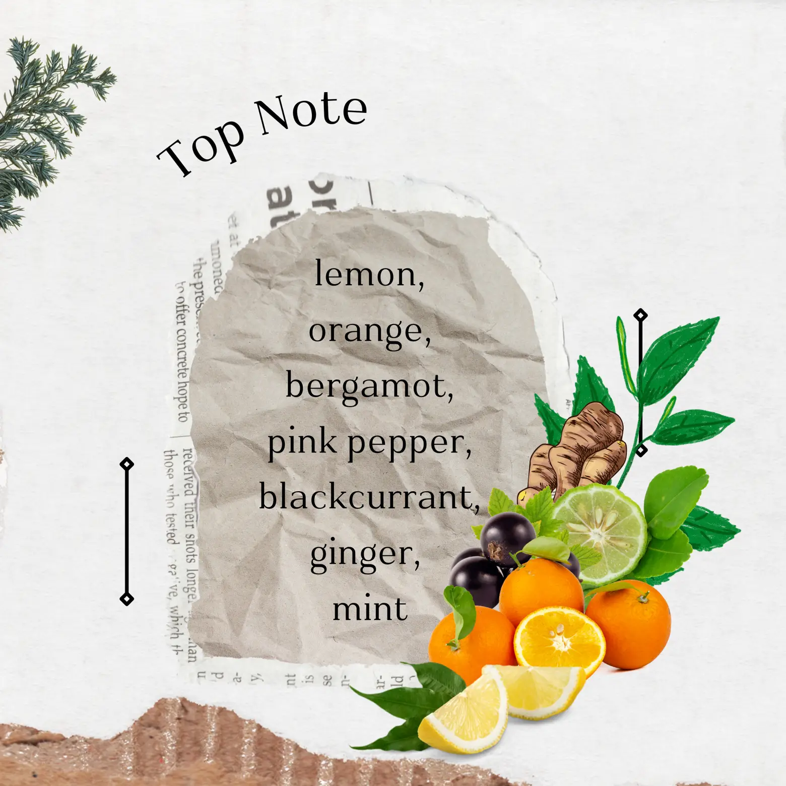 Perfum 101:ベースノート、ミドルノート、トップノートとは何ですか? | Scented Storyが投稿したフォトブック | Lemon8