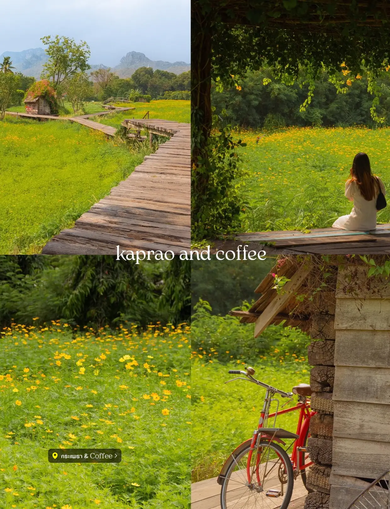 รวมที่เที่ยว One day trip in ลพบุรี 🚘🌳 | แกลเลอรีที่โพสต์โดย lbzero | Lemon8