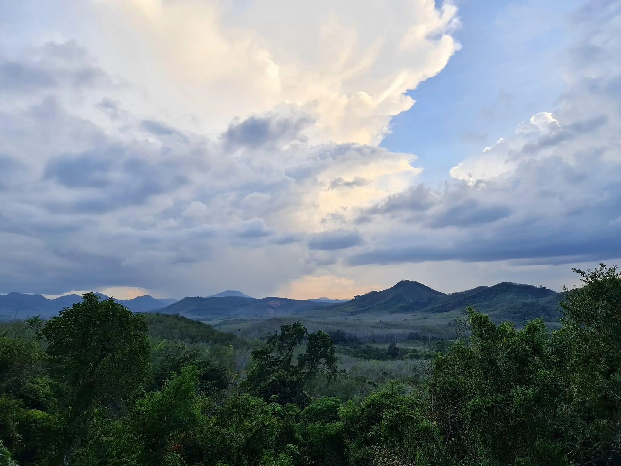 คาเฟ่ (ไม่) ลับกลางป่า🍃 "แลผาคาเฟ่ & Chestnut Hill" | แกลเลอรีที่โพสต์ ...