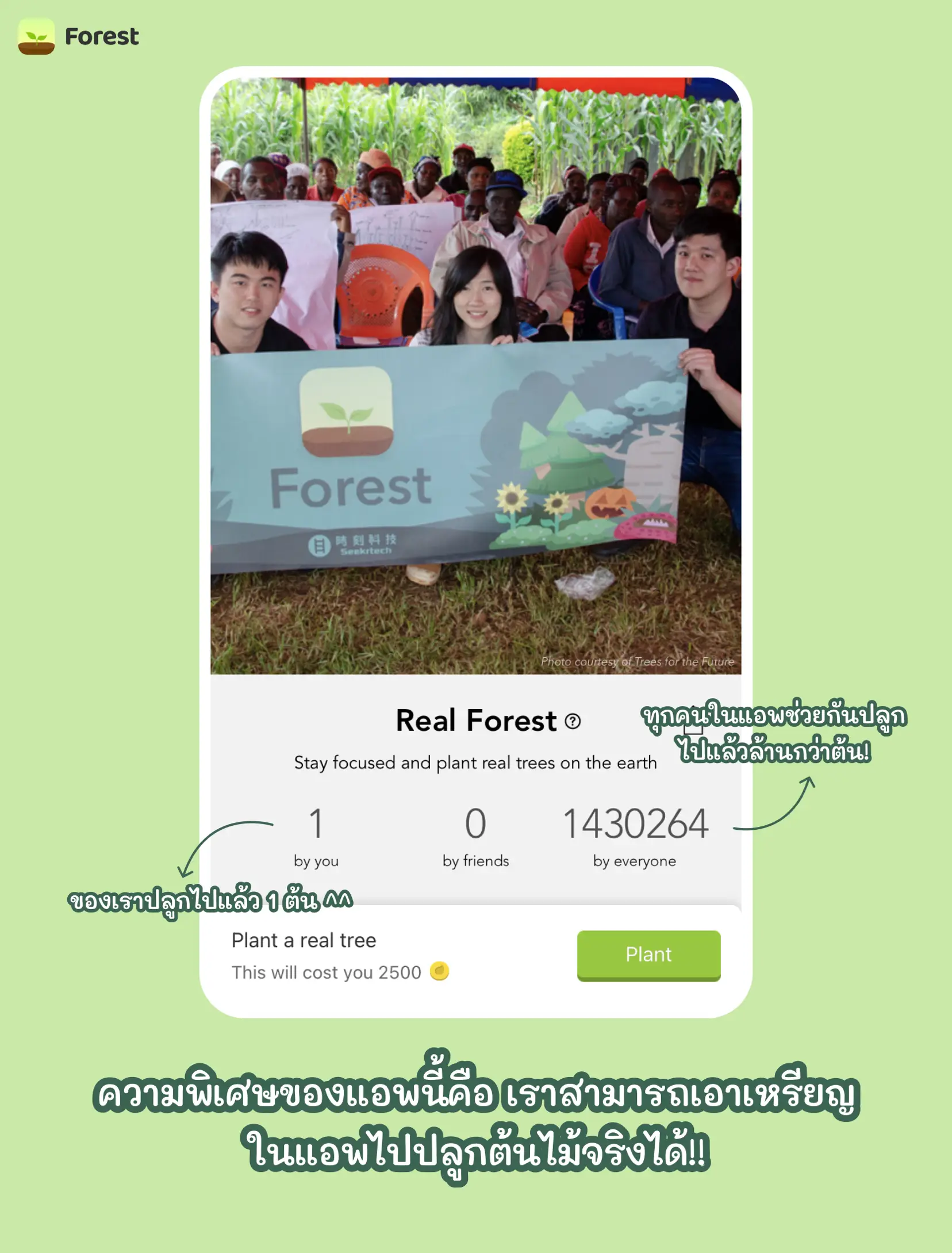Forest App ปลูกต้นไม้บนแอพ โฟกัสการทำงานกัน! 🌱🪴🌸 | แกลเลอรีที่โพสต์โดย unun.inappland🪄 | Lemon8