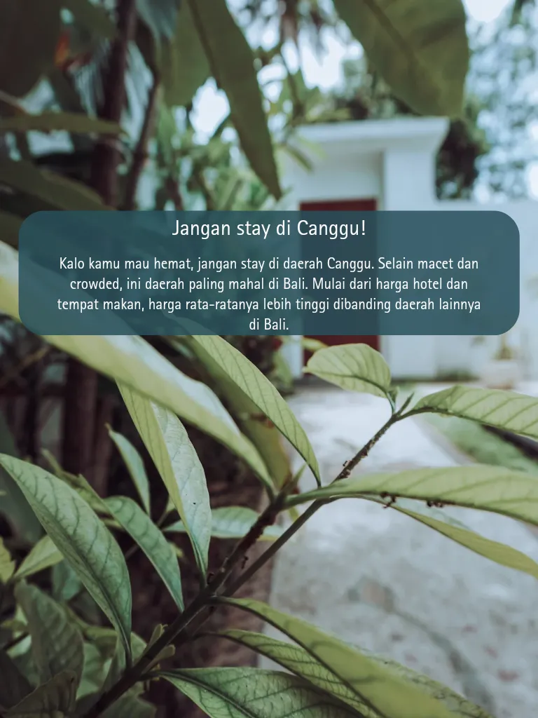 5 Tips Hemat Liburan ke Bali! Yuk disave dulu! 😉 | Galeri diposting ...