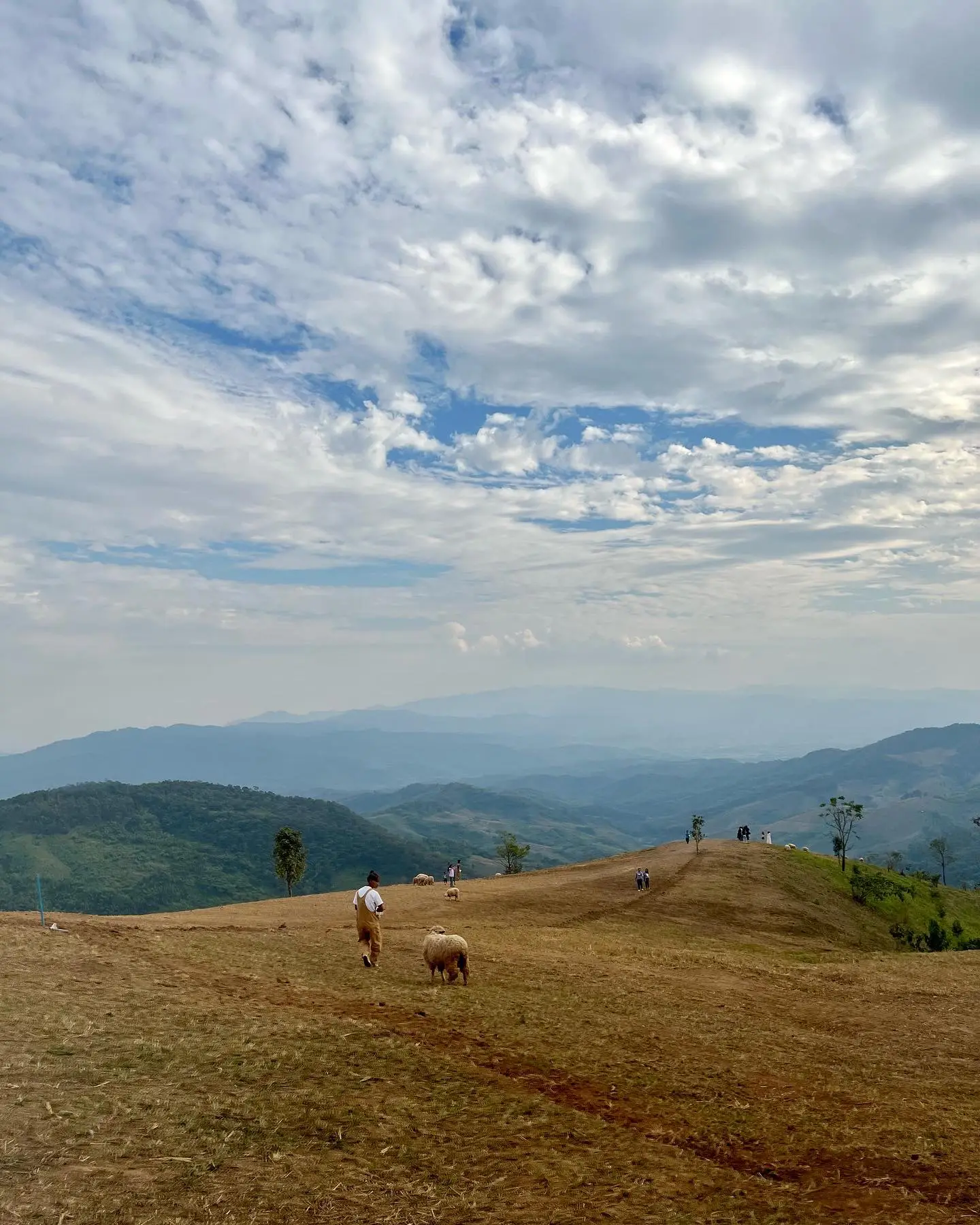 Akha Farmville, Chiang Rai🐑 | Gallery posted by Bee Hallin | Lemon8