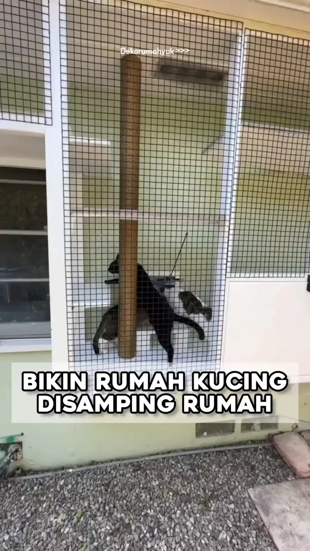 Inspieasi Rumah Kucing 🐈🏠 | Video dipublikasikan oleh Dekor Rumah Yuk ...