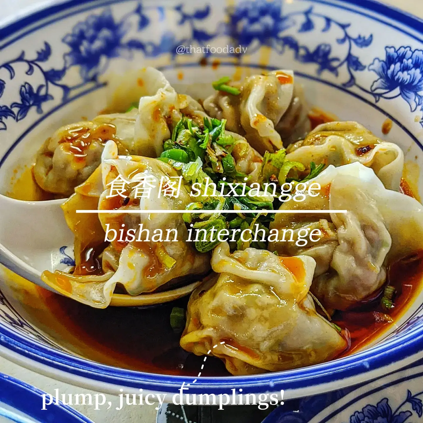 Are you a fan of dumplings or noodles? | แกลเลอรีที่โพสต์โดย Wei Ping ...