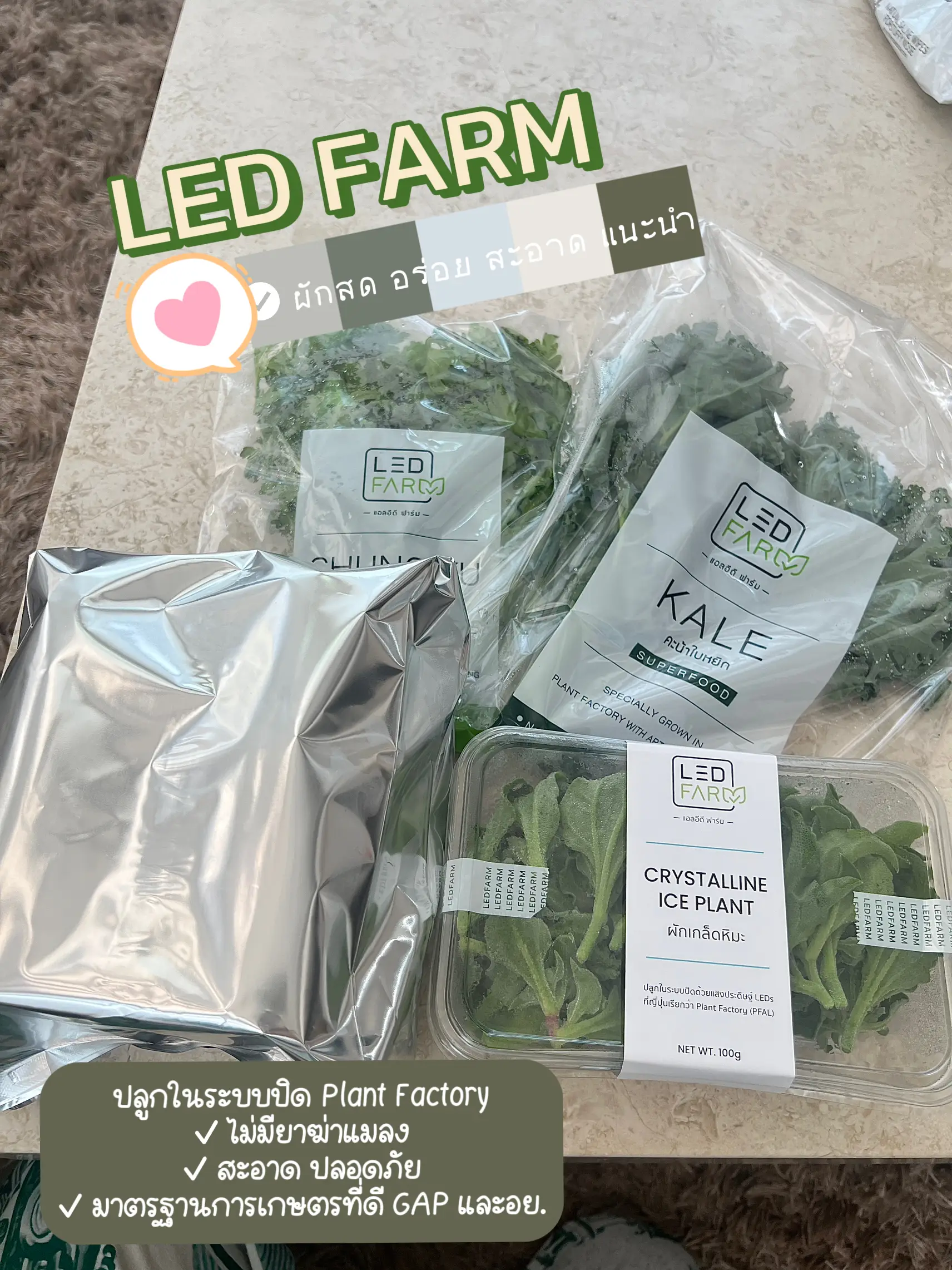 LED FARM ผักสด อร่อย สะอาด ปลอดภัย แนะนำเลย | แกลเลอรีที่โพสต์โดย Mook ...