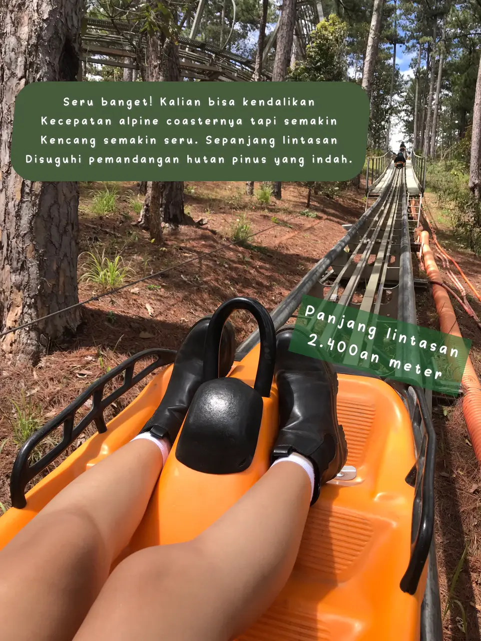 ALPINE COASTER TERPANJANG DI ASIA | Galeri diposting oleh Mutiaradewi | Lemon8