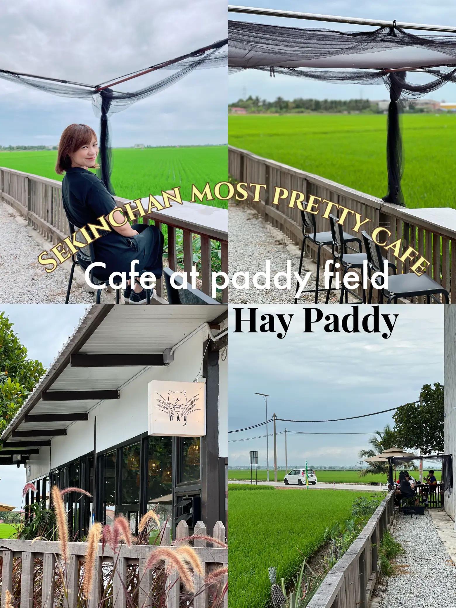 Most pretty cafe at Sekinchan | Hay Paddy | Gallery posted by I’m cafe ...