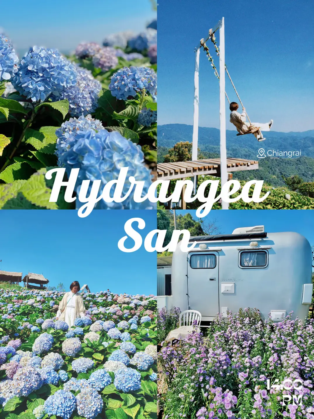 Hydrangea San🌸ทุ่งดอกไม้สุดฮิตที่เชียงราย | แกลเลอรีที่โพสต์โดย JOYISHAPPY | Lemon8