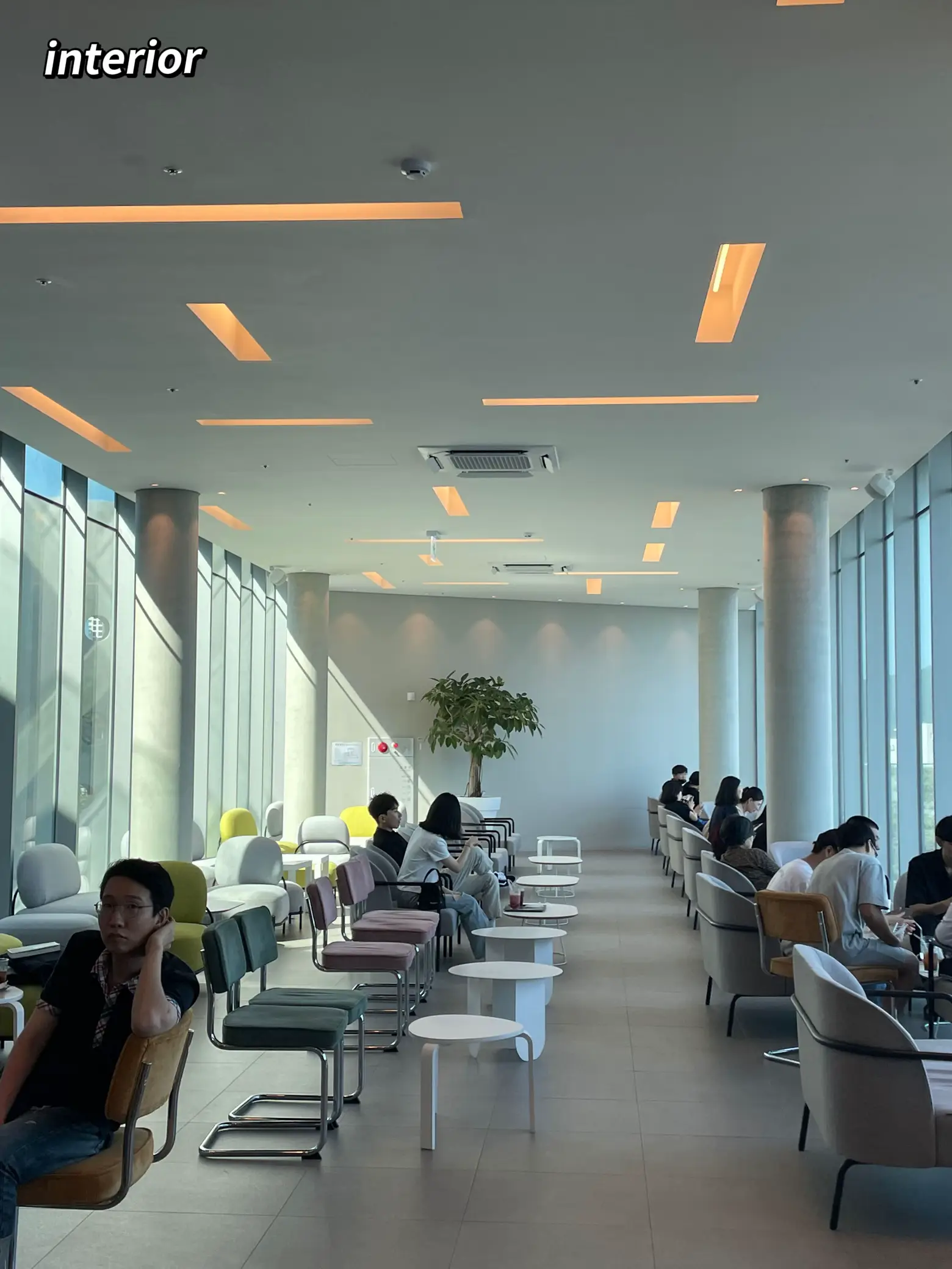 You’ll regret not visiting this café in Busan. | Gallery posted by yuki ...