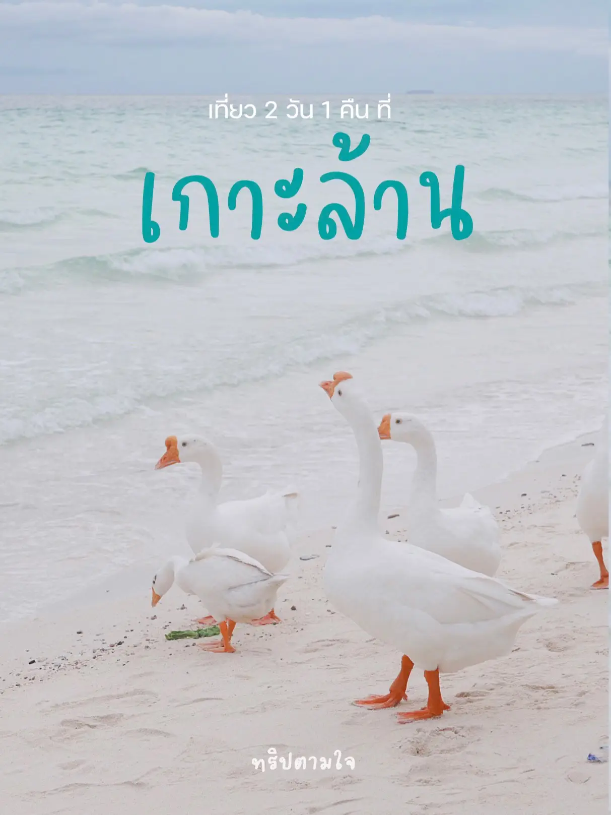 ⛅Let go of the million island for 2 days and 1 night. 💛 | Gallery posted by TripTamJai | Lemon8