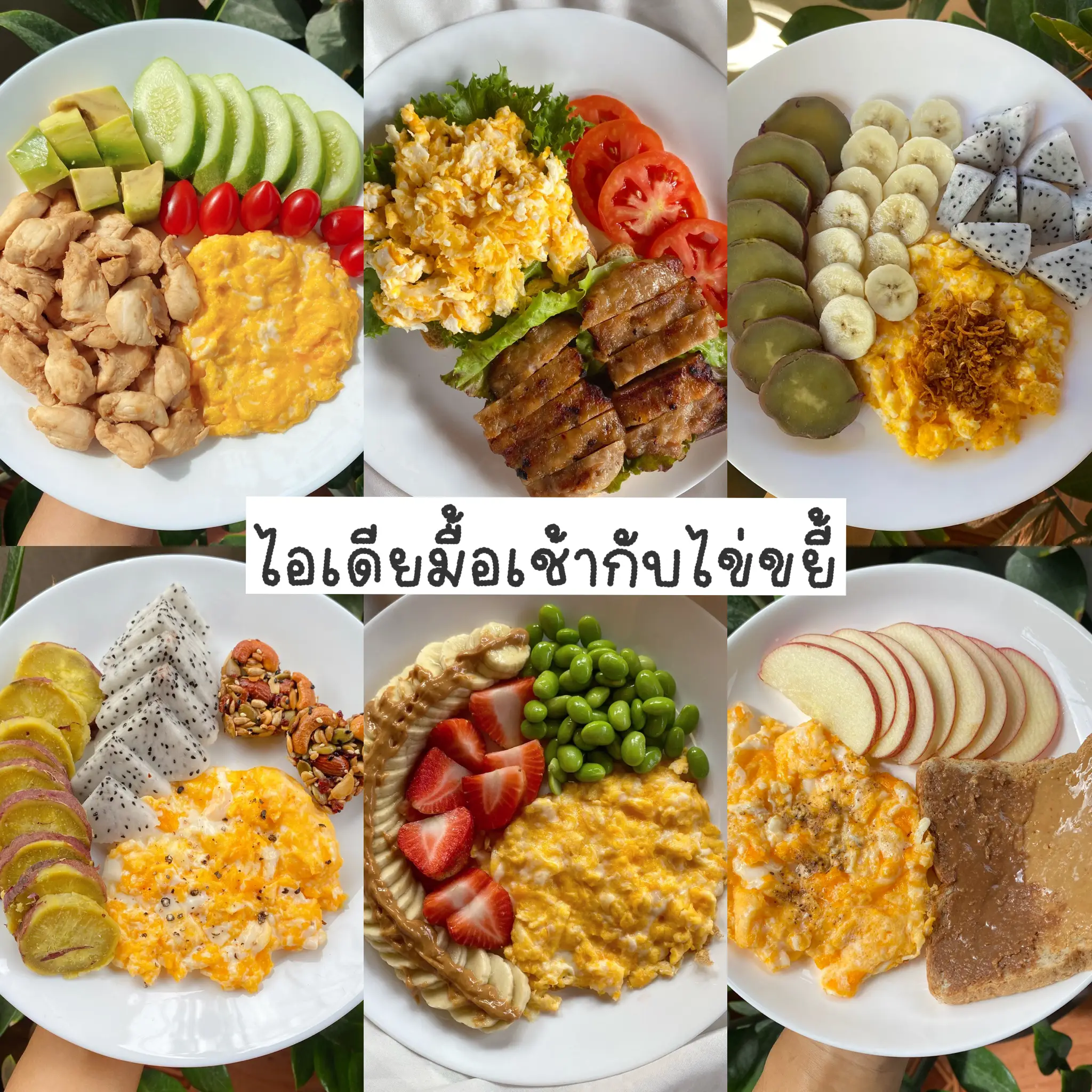 รวม 4 เมนูไข่ขยี้🍳 | แกลเลอรีที่โพสต์โดย Anchi | Lemon8