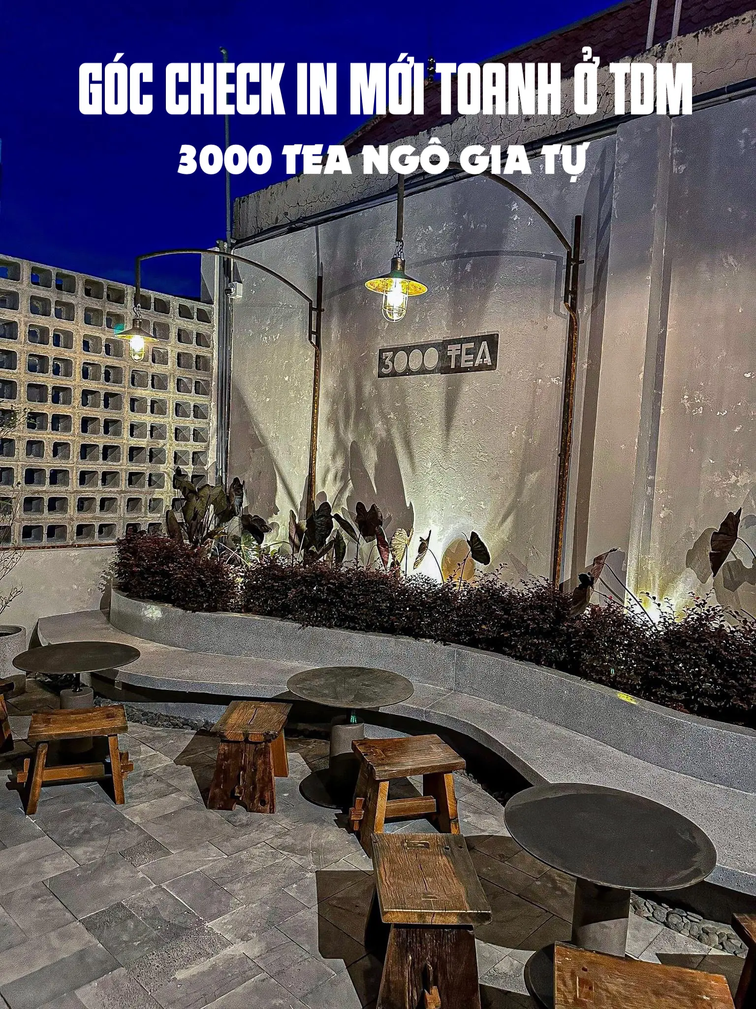 GÓC CHECK IN MỚI TOANH Ở TDM - 3000 TEA NGÔ GIA TỰ | Bộ sưu tập do Chan ...