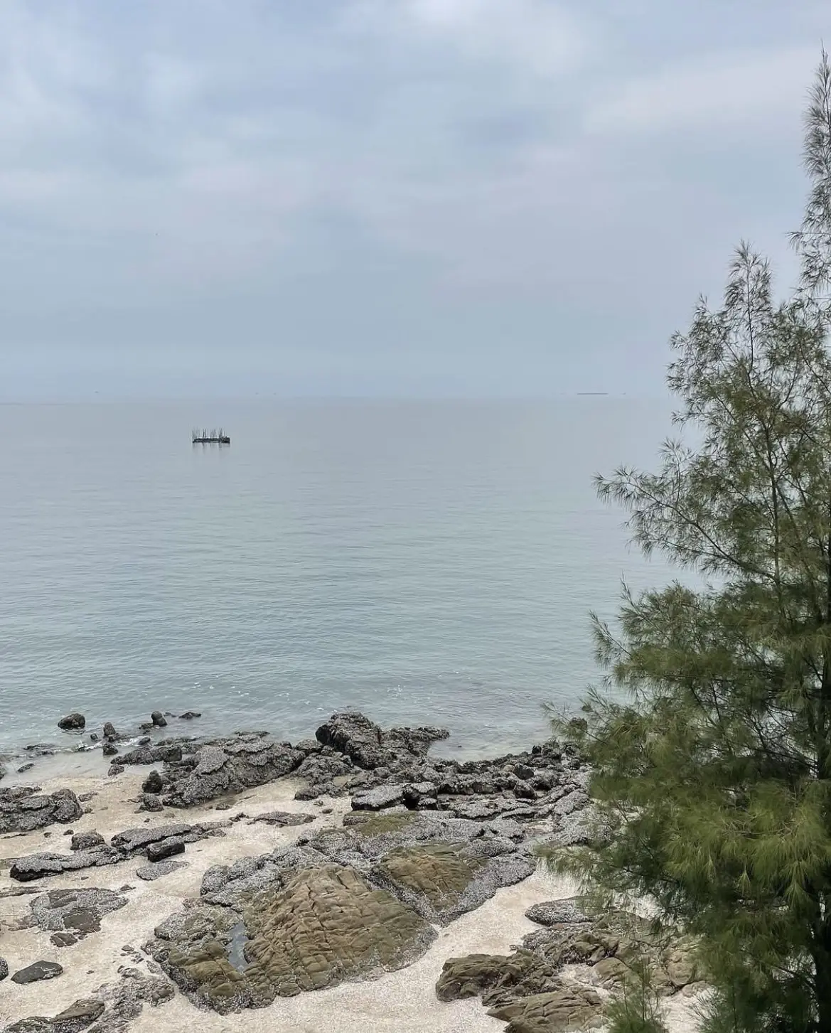 HIDDEN LAB CAFE 🐋🥛🌱 in Chonburi | แกลเลอรีที่โพสต์โดย pinocchio | Lemon8