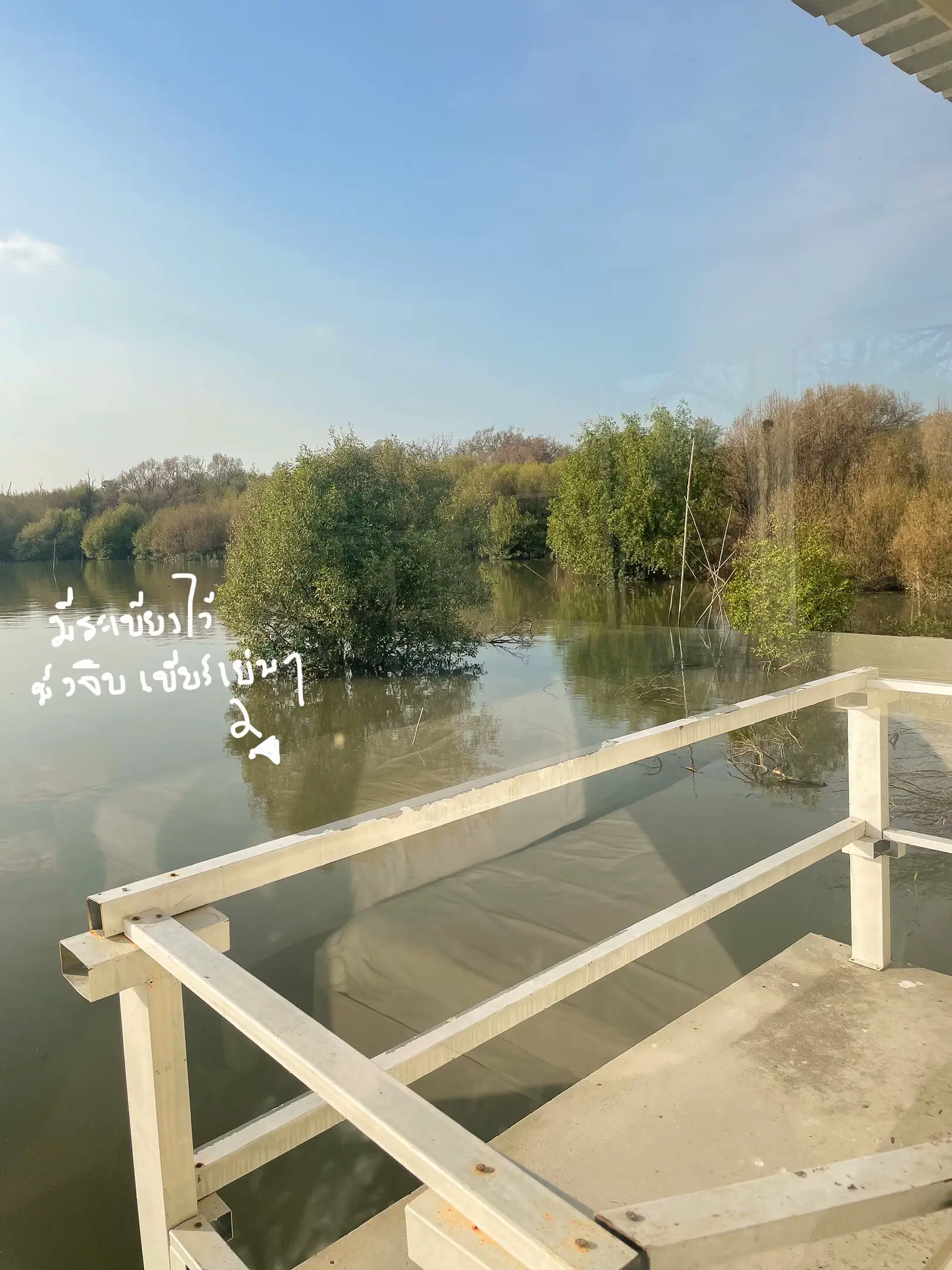 Goodbye 2022 @Samor maai | แกลเลอรีที่โพสต์โดย Pakbungg. | Lemon8