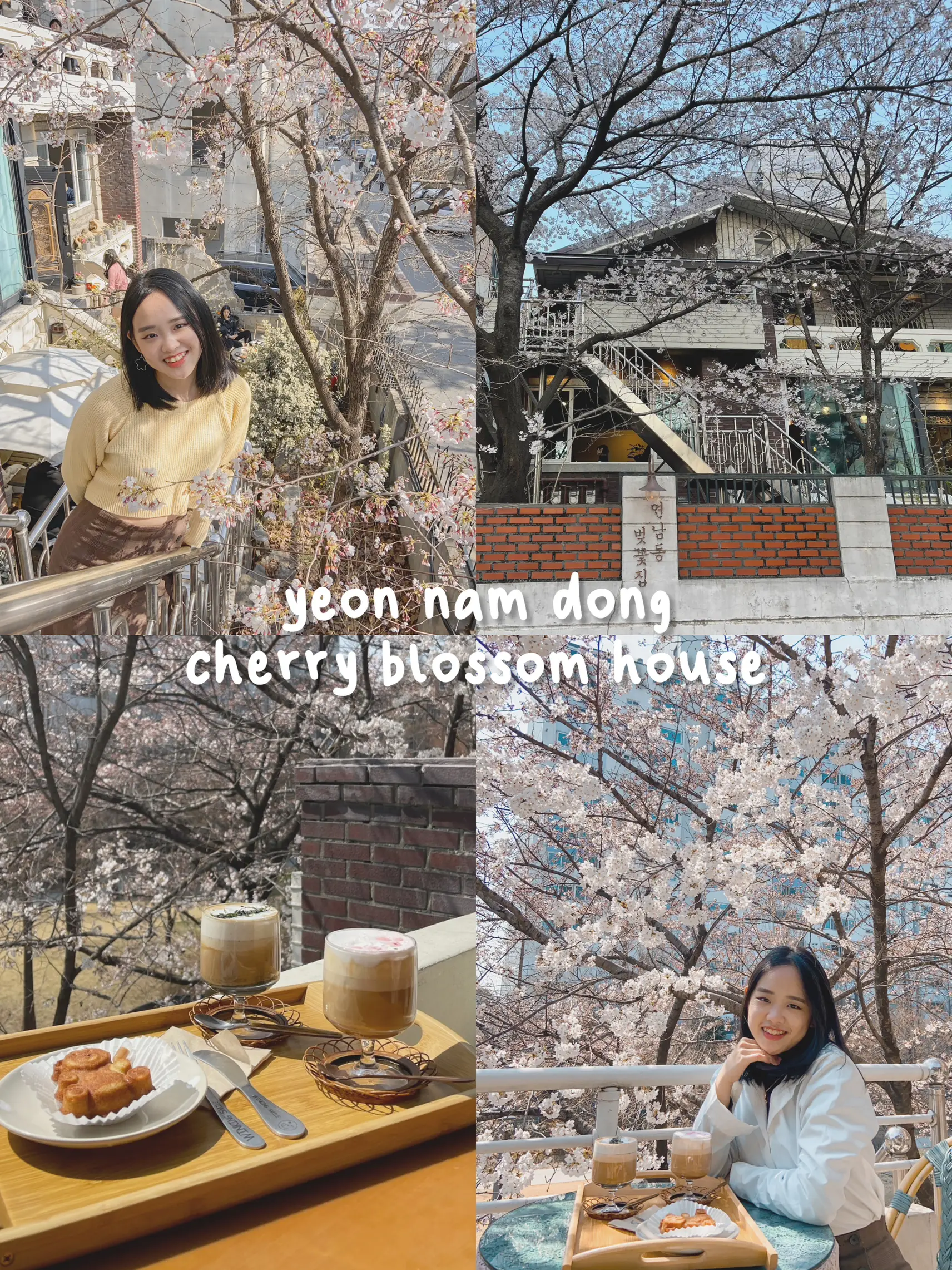 Cherry Blossom Cafe in Seoul🇰🇷 | Gallery posted by sonia | Lemon8