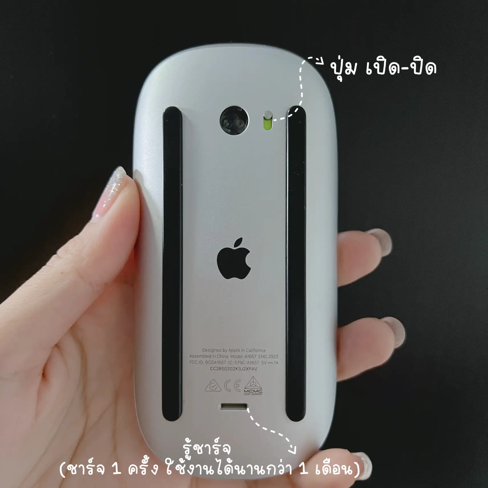 ป้ายยา MAGIC MOUSE 2 💻🖱️ | แกลเลอรีที่โพสต์โดย แม่บ้านนักรีวิว | Lemon8