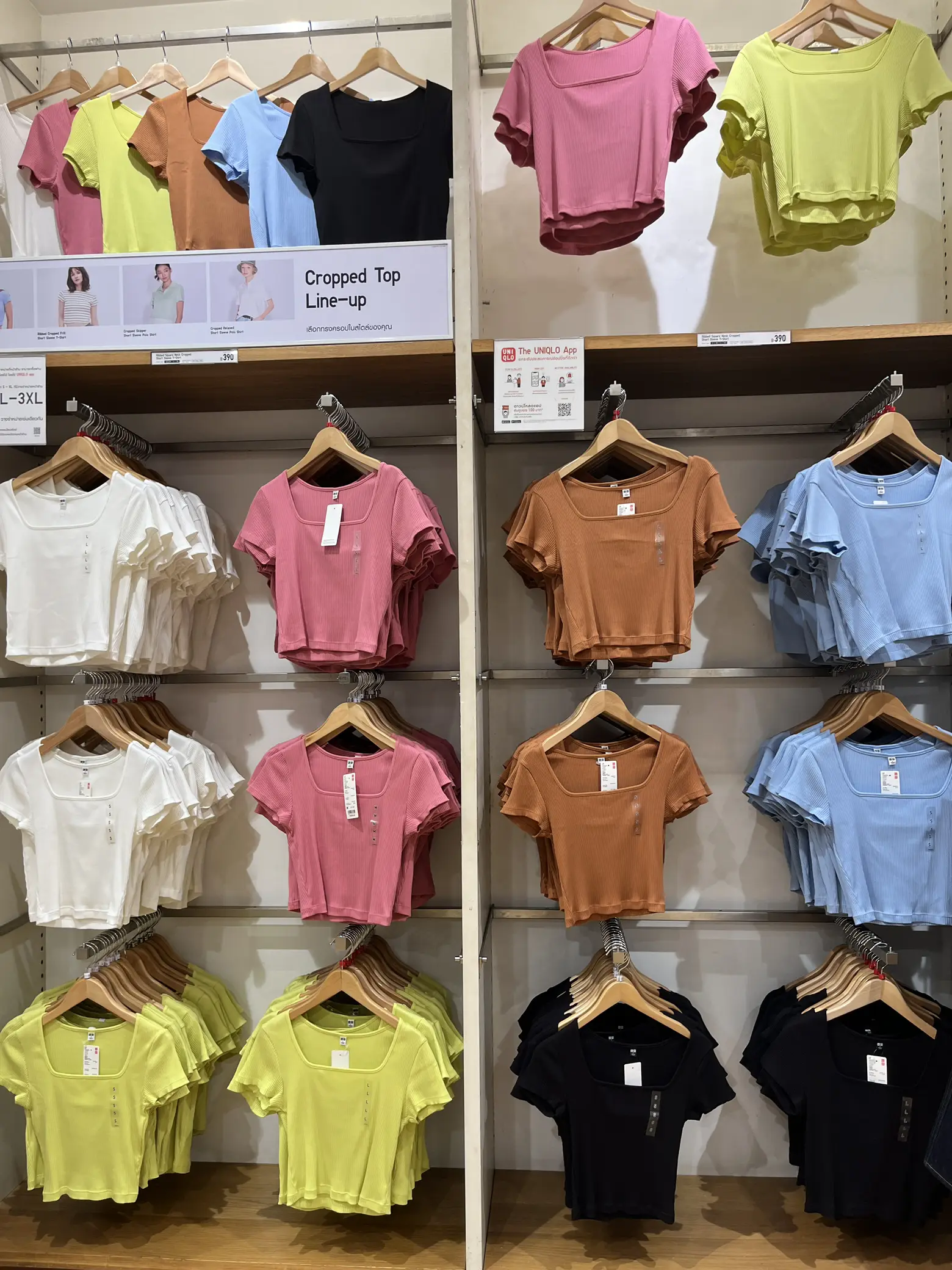 uniqlo basics - การค้นหาใน Lemon8