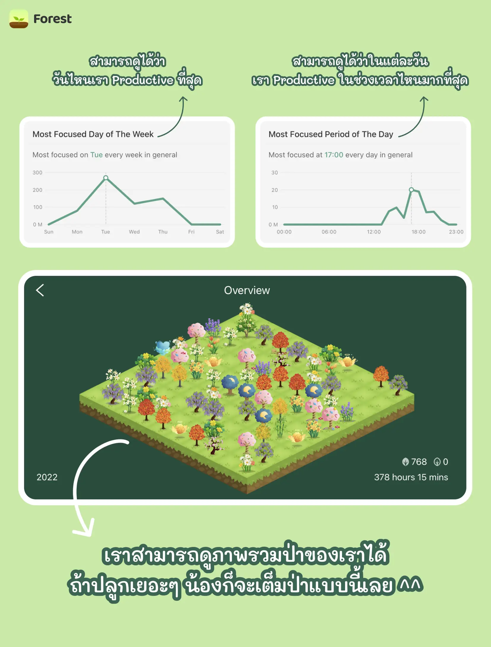 Forest App ปลูกต้นไม้บนแอพ โฟกัสการทำงานกัน! 🌱🪴🌸 | แกลเลอรีที่โพสต์โดย ...
