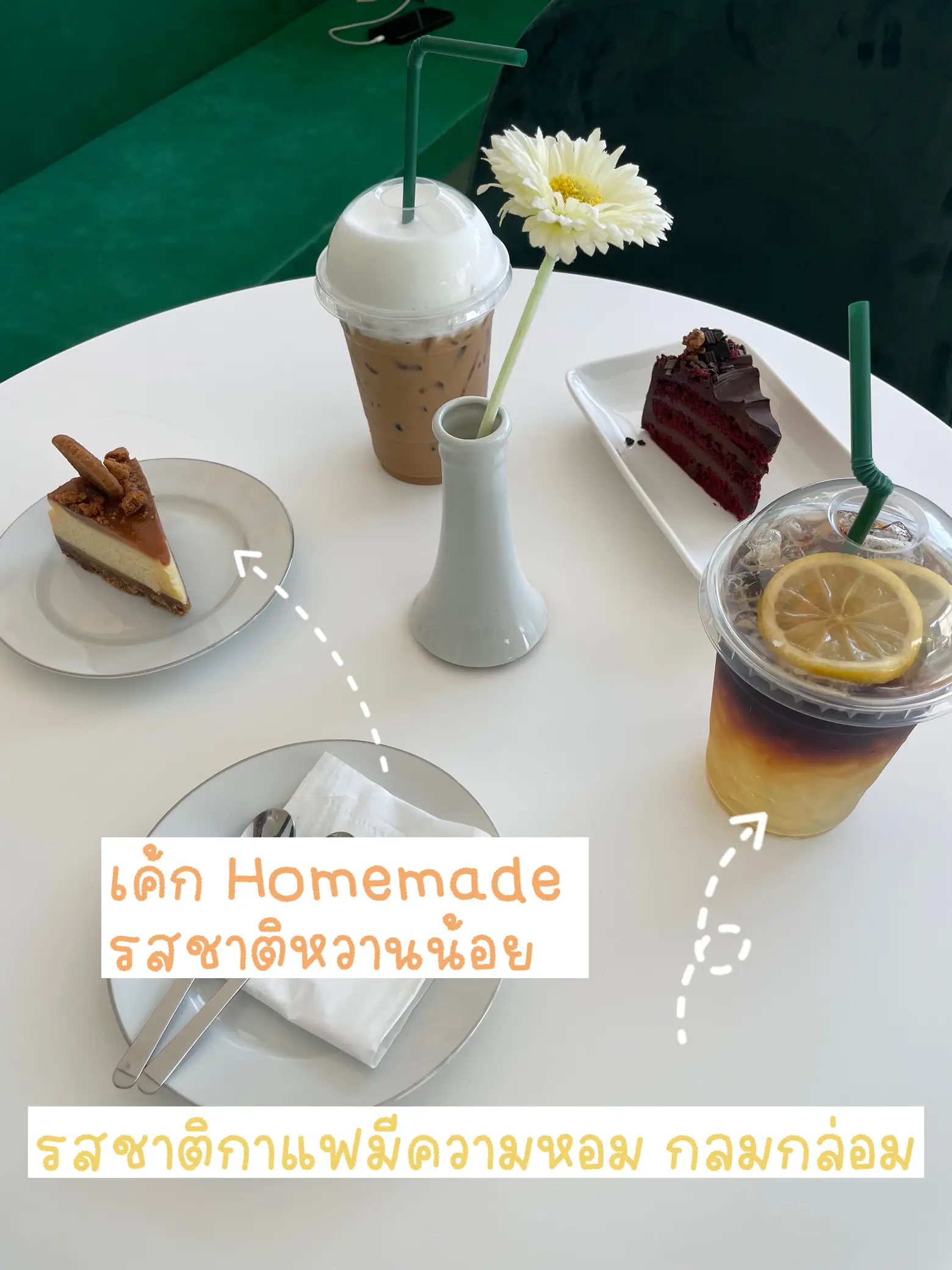 Sunee Home café สไตร์ Contemporary ที่ไม่ได้มีดีแค่มุมถ่ายรูป | แกลเลอรีที่โพสต์โดย Champ:p | Lemon8
