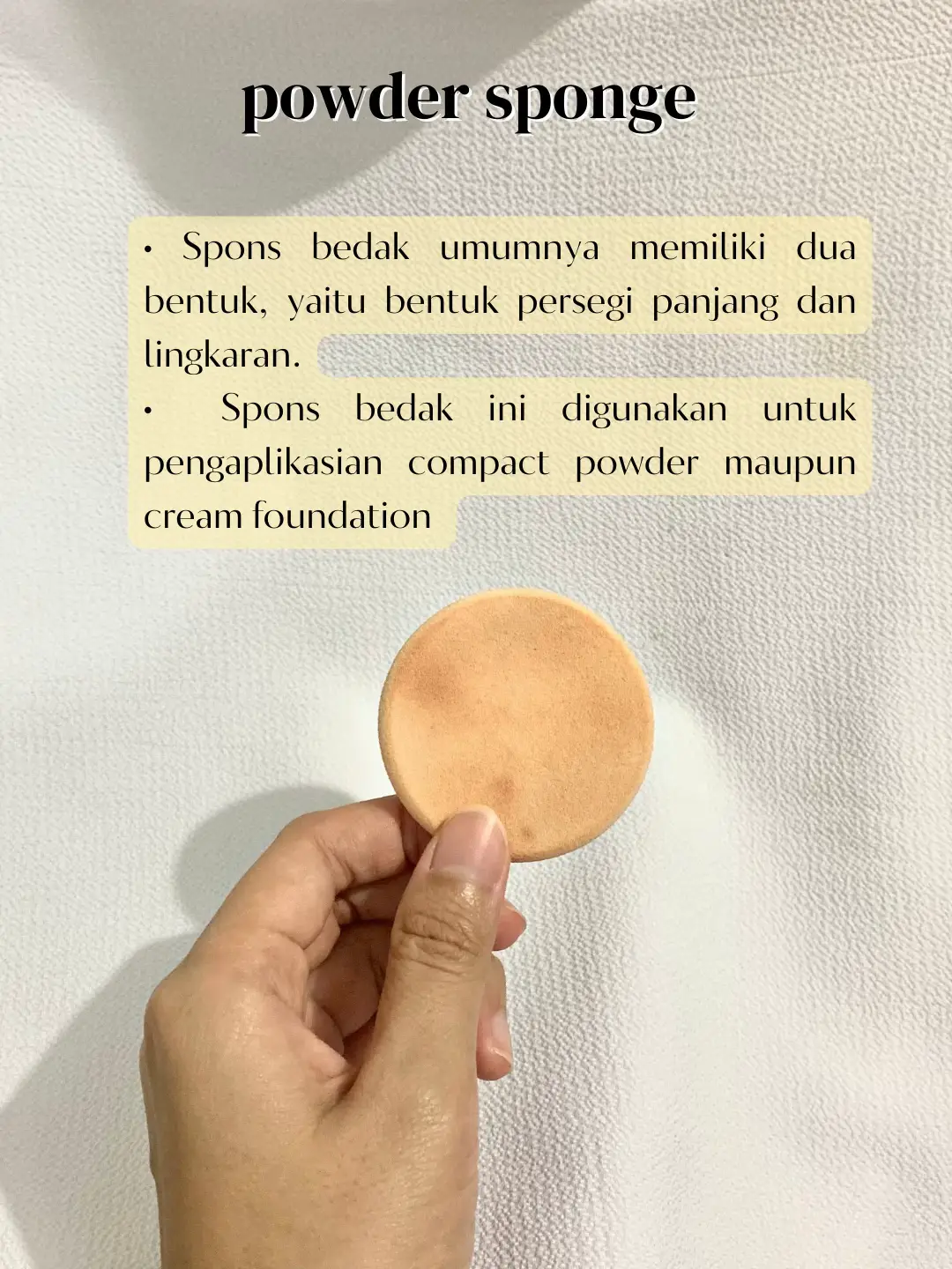 Macam-Macam Sponge Berdasarkan Kegunannya | Galeri diposting oleh Rahma ...