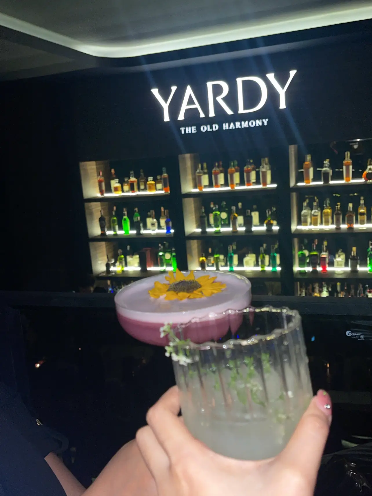 YARDY BAR บาร์เปิดใหม่ที่ไม่ลับ 🍸 | แกลเลอรีที่โพสต์โดย Nichaaxp | Lemon8