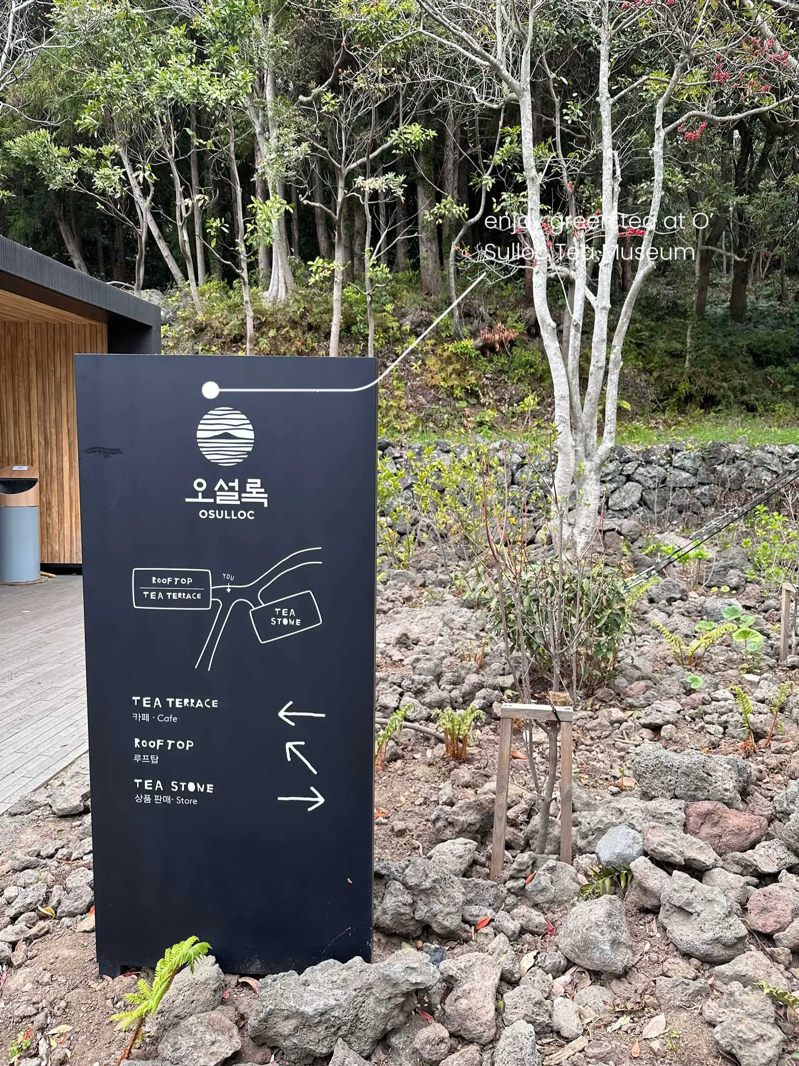 📌 10 things I did in Jeju in spring 🌸 | แกลเลอรีที่โพสต์โดย Ness | Lemon8