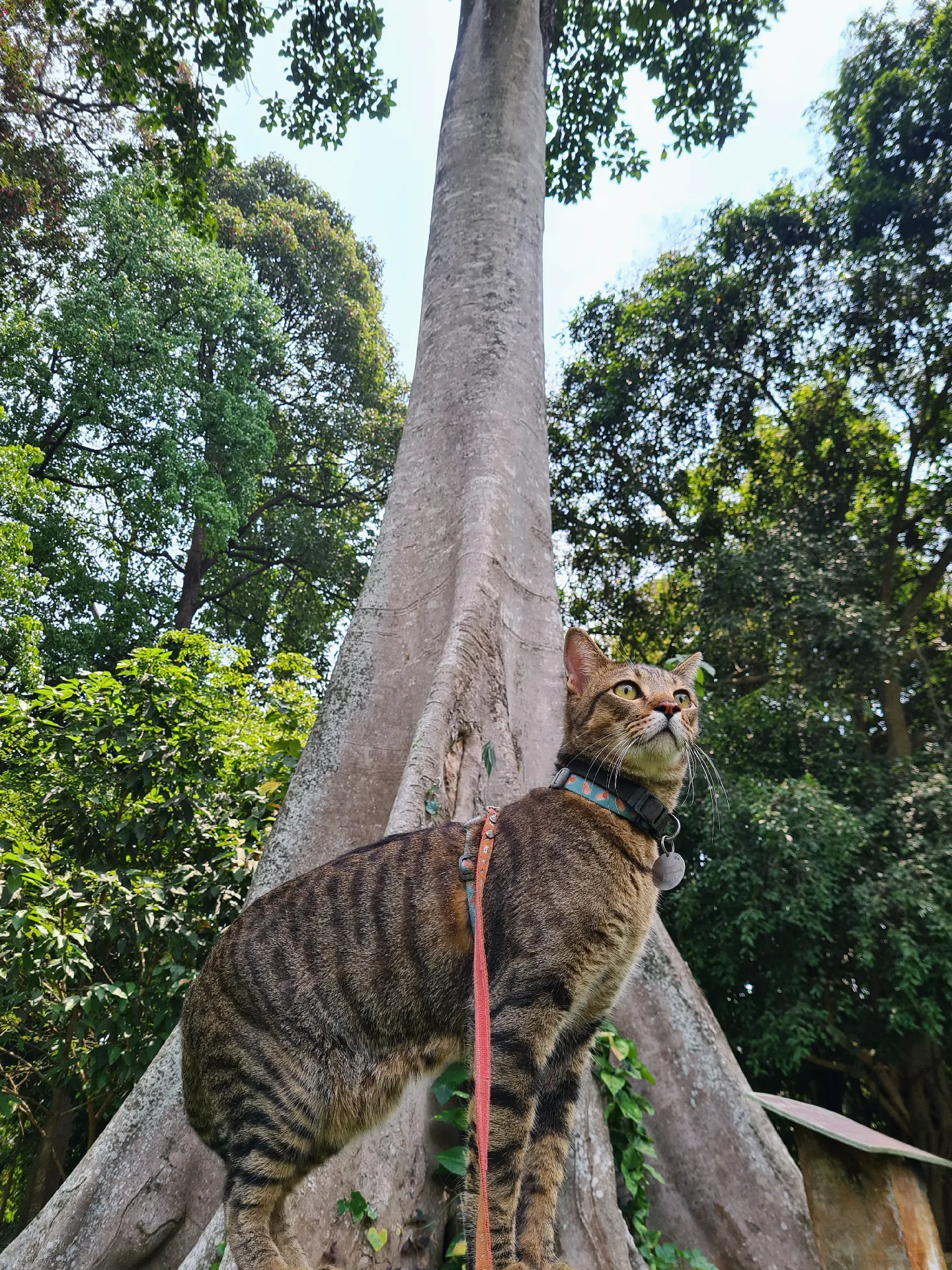 บ้านไร่ 3 พอ ปากช่อง เขาใหญ่ | Gallery posted by Biwty | Lemon8