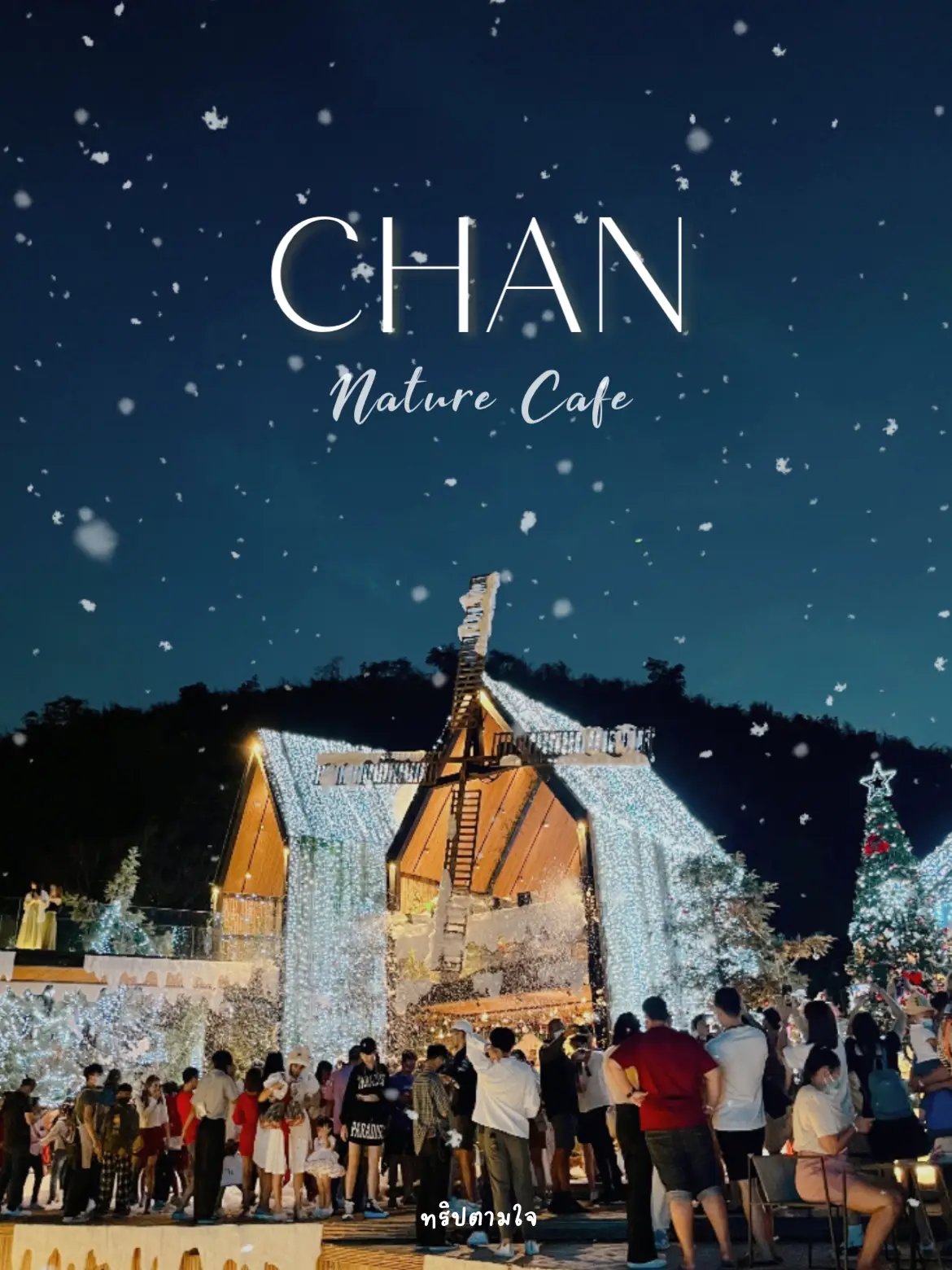🎄⋆·˚ ༘ * ไปถ่ายรูปหิมะตกกับเทศกาลไฟที่ 𝐂𝐇𝐀𝐍 𝐧𝐚𝐭𝐮𝐫𝐞 𝐜𝐚𝐟𝐞' | แกลเลอรีที่ ...