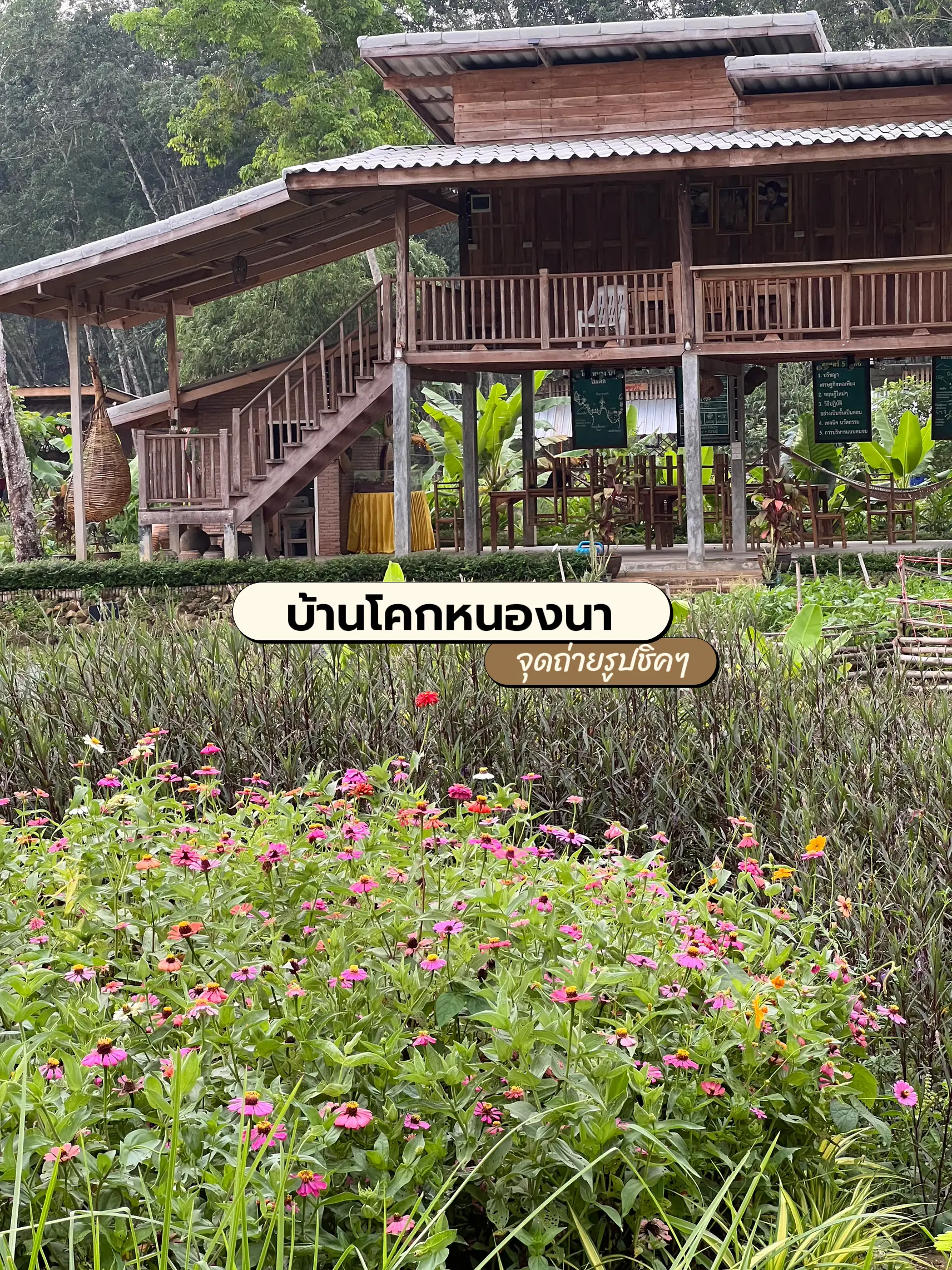 Marigold Park, Benja Field 🍃🌼 | Gallery posted by Nicha Chusuwan | Lemon8