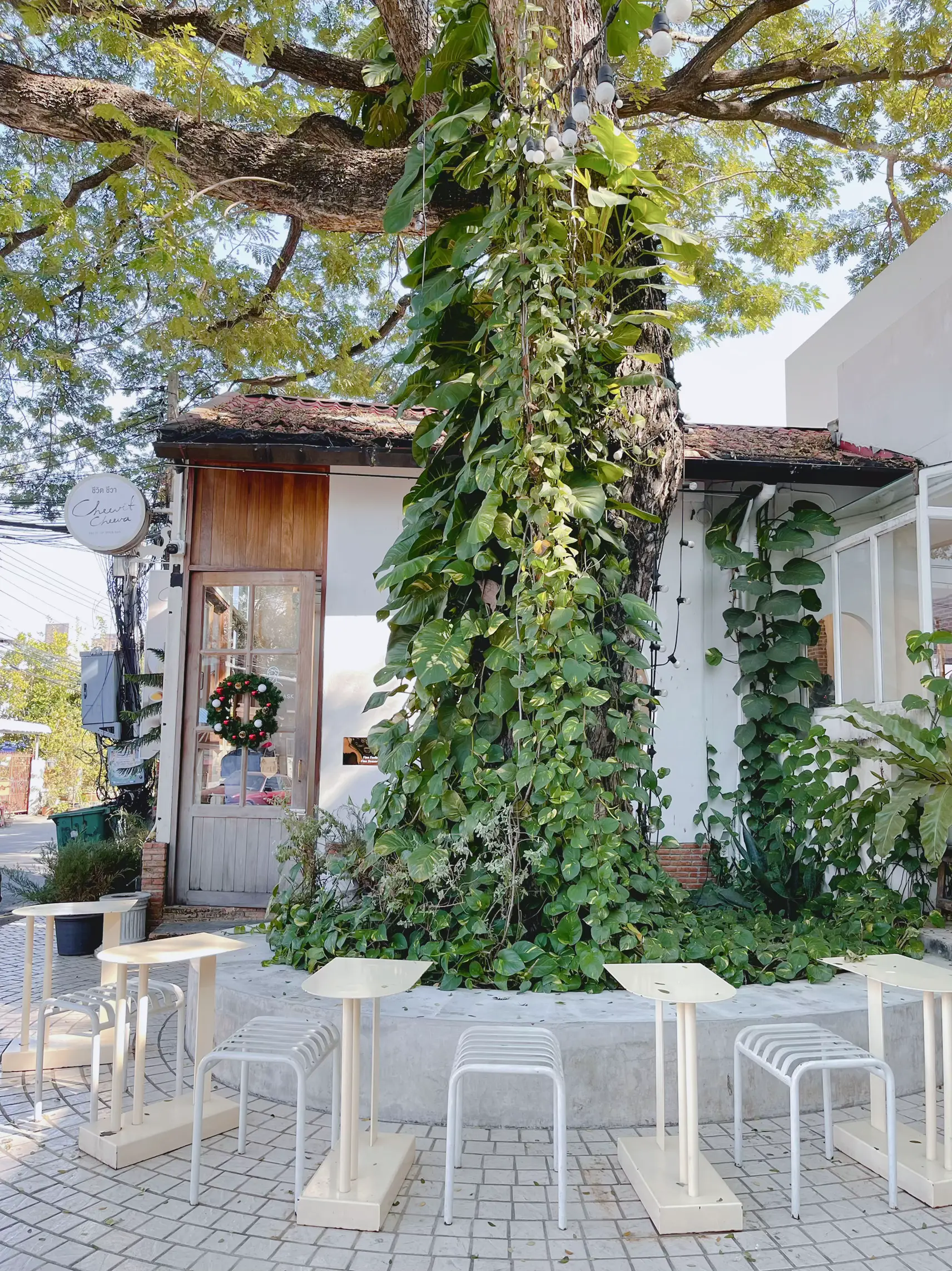 GROON คาเฟ่เชียงใหม่ | แกลเลอรีที่โพสต์โดย Wavepim | Lemon8