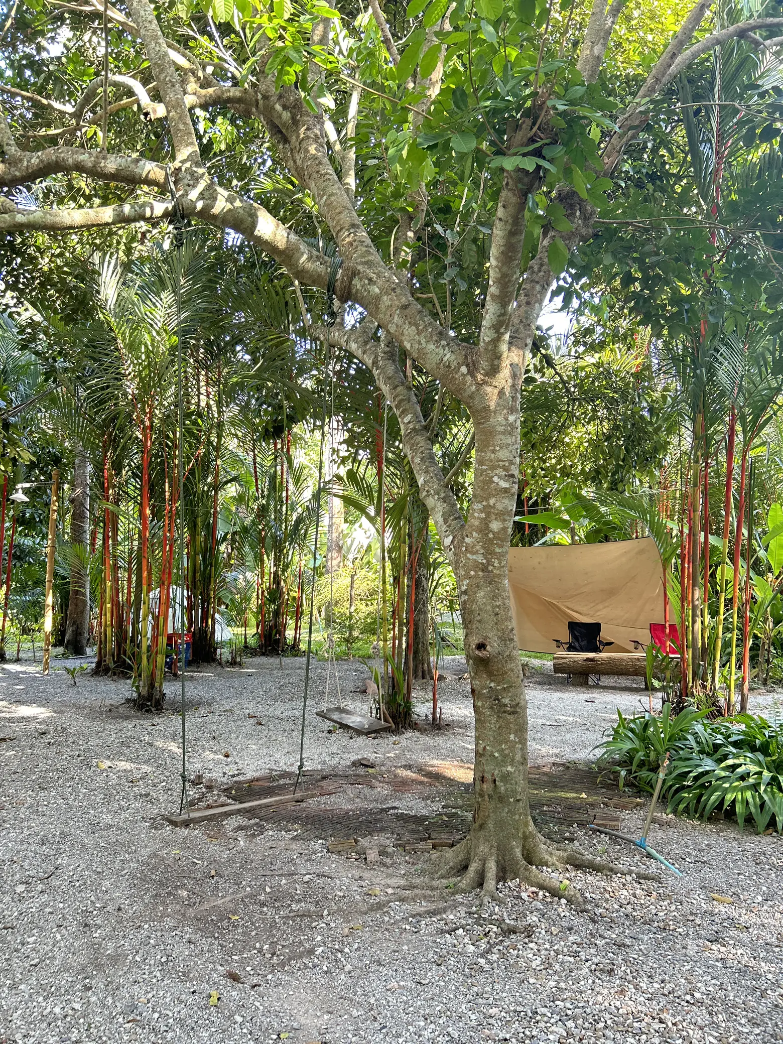 Bake and more Cafe Rayong | แกลเลอรีที่โพสต์โดย NooNoey | Lemon8