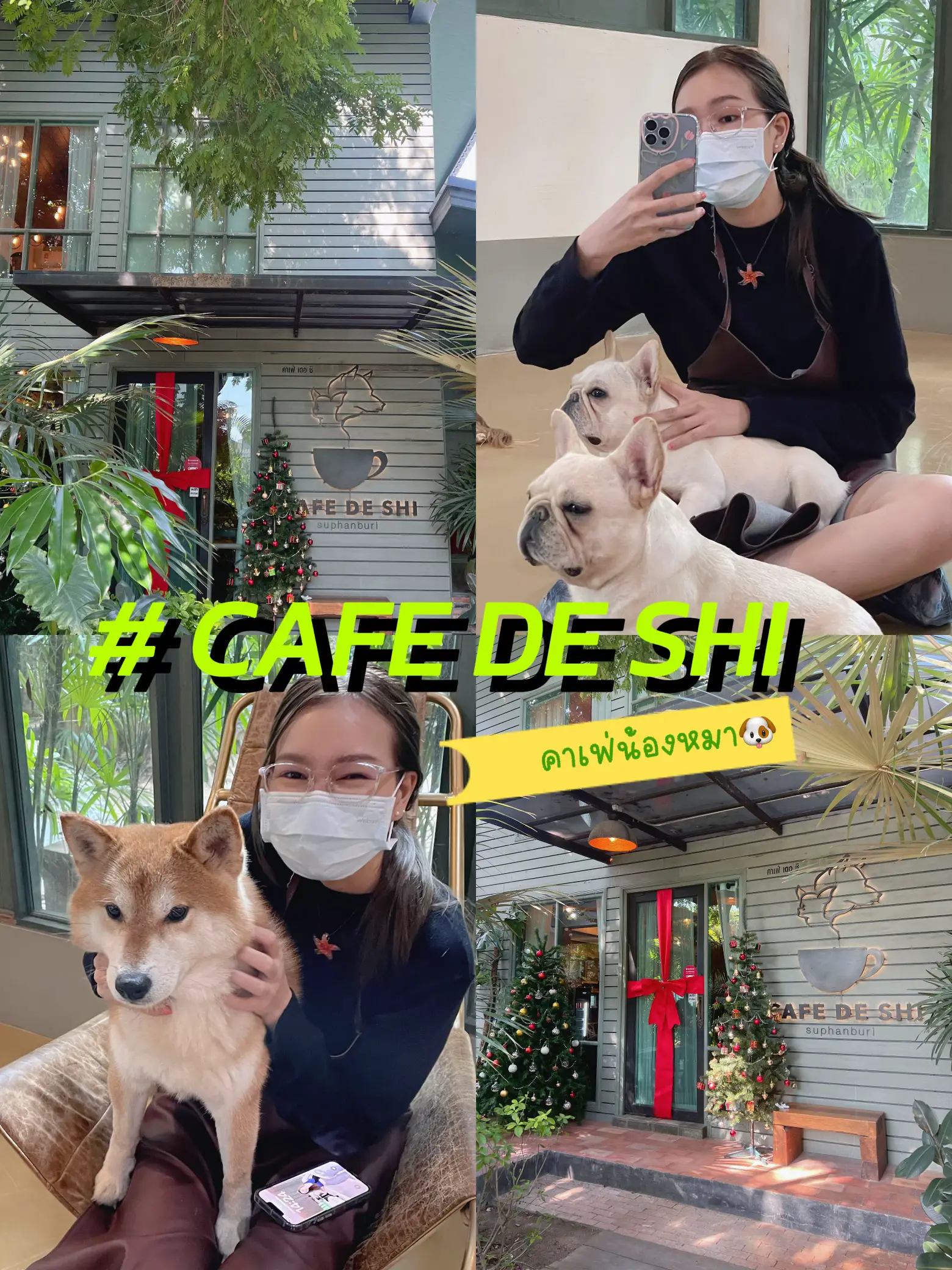 Cafe De shi คาเฟ่ที่คนรักสุนัขไม่ควรพลาด!🐶🐶🐶 | แกลเลอรีที่โพสต์โดย Kaimook~ | Lemon8