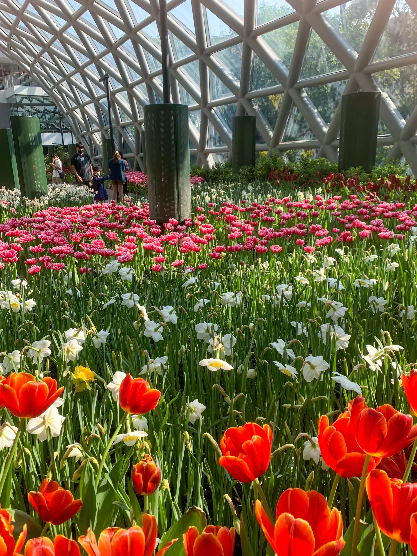 Miracle Of Natural | Rayong สวนดอกไม้เมืองหนาว 🌷 | แกลเลอรีที่โพสต์โดย ...