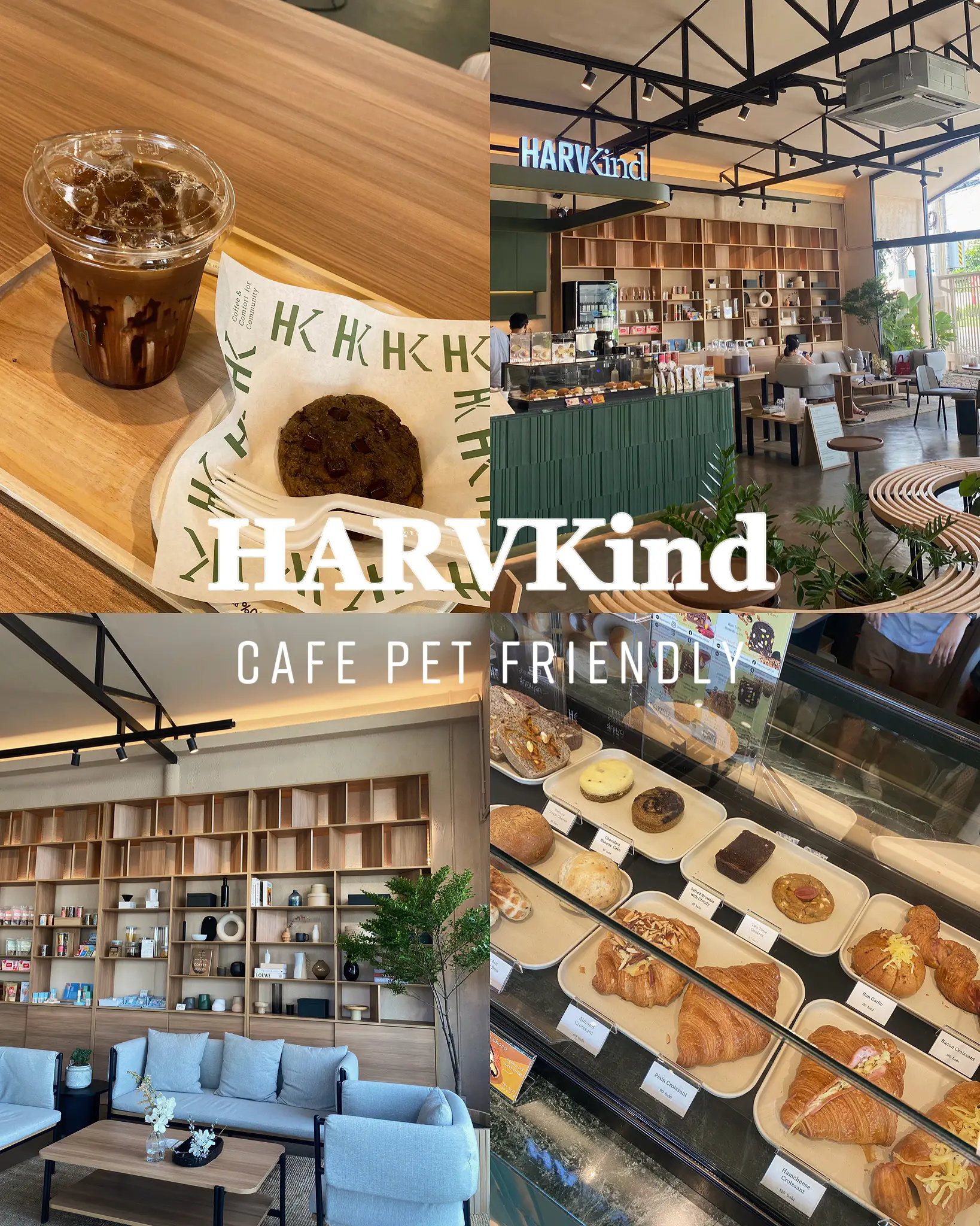 HARVKind - คาเฟ่พาสัตว์เลี้ยงเข้าได้ ย่านพระราม2 | แกลเลอรีที่โพสต์โดย mook ˙Ⱉ˙ | Lemon8