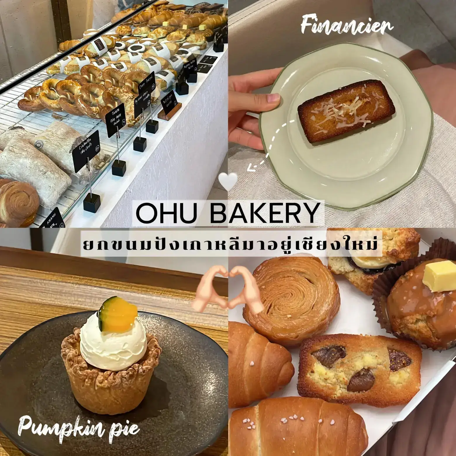 OHU ร้านขนมปังสุดปัง ปัง ปัง 🤩🥨 🤟🏻 | แกลเลอรีที่โพสต์โดย Sssamikkkk | Lemon8