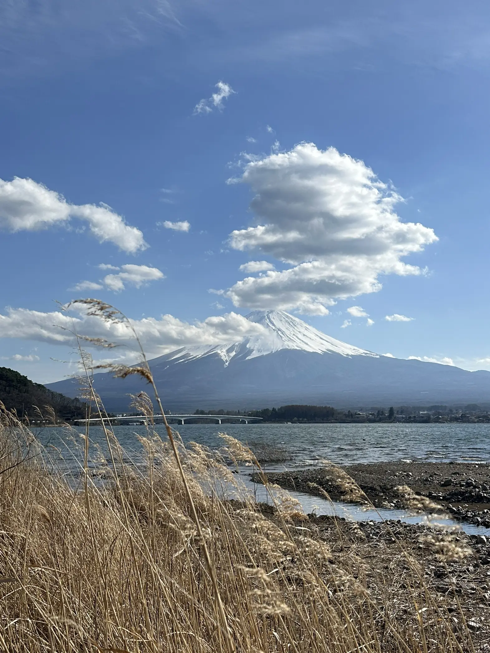 แจกพิกัด มุมถ่ายรูปกับ Mr.Fuji รอบๆทะเลสาปคาวากุจิ | Galeri disiarkan oleh TONG | Lemon8