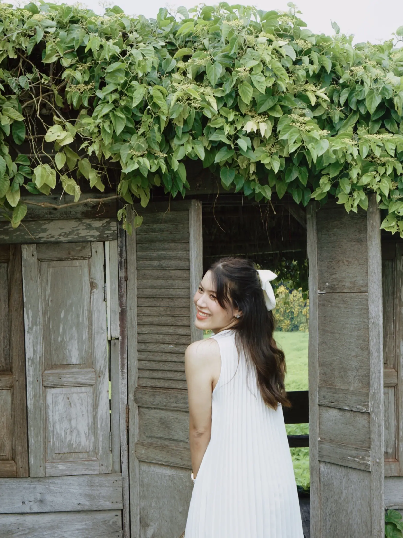 รีวิว กะเพราคาเฟ่ ลพบุรี 🌼🍃 | แกลเลอรีที่โพสต์โดย KOOKKIK.H | Lemon8