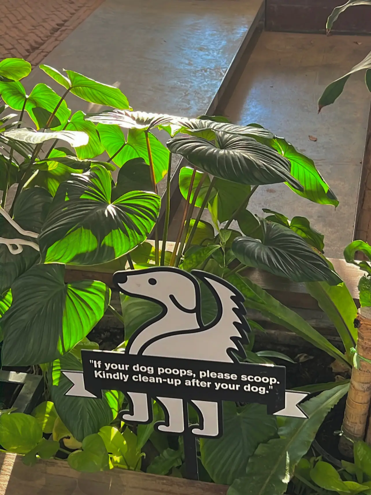 The Common Thonglor คอมมูแบบใหม่แบบสับใจกลางทองหล่อ🥂💸👀 | แกลเลอรีที่ ...