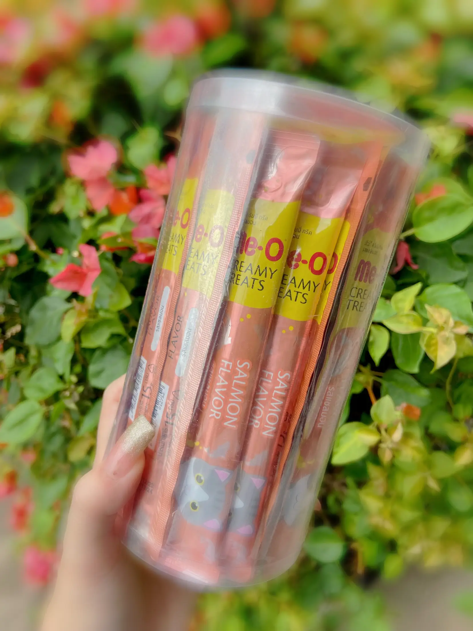 ขนมแมวเลียliebao - การค้นหาใน Lemon8