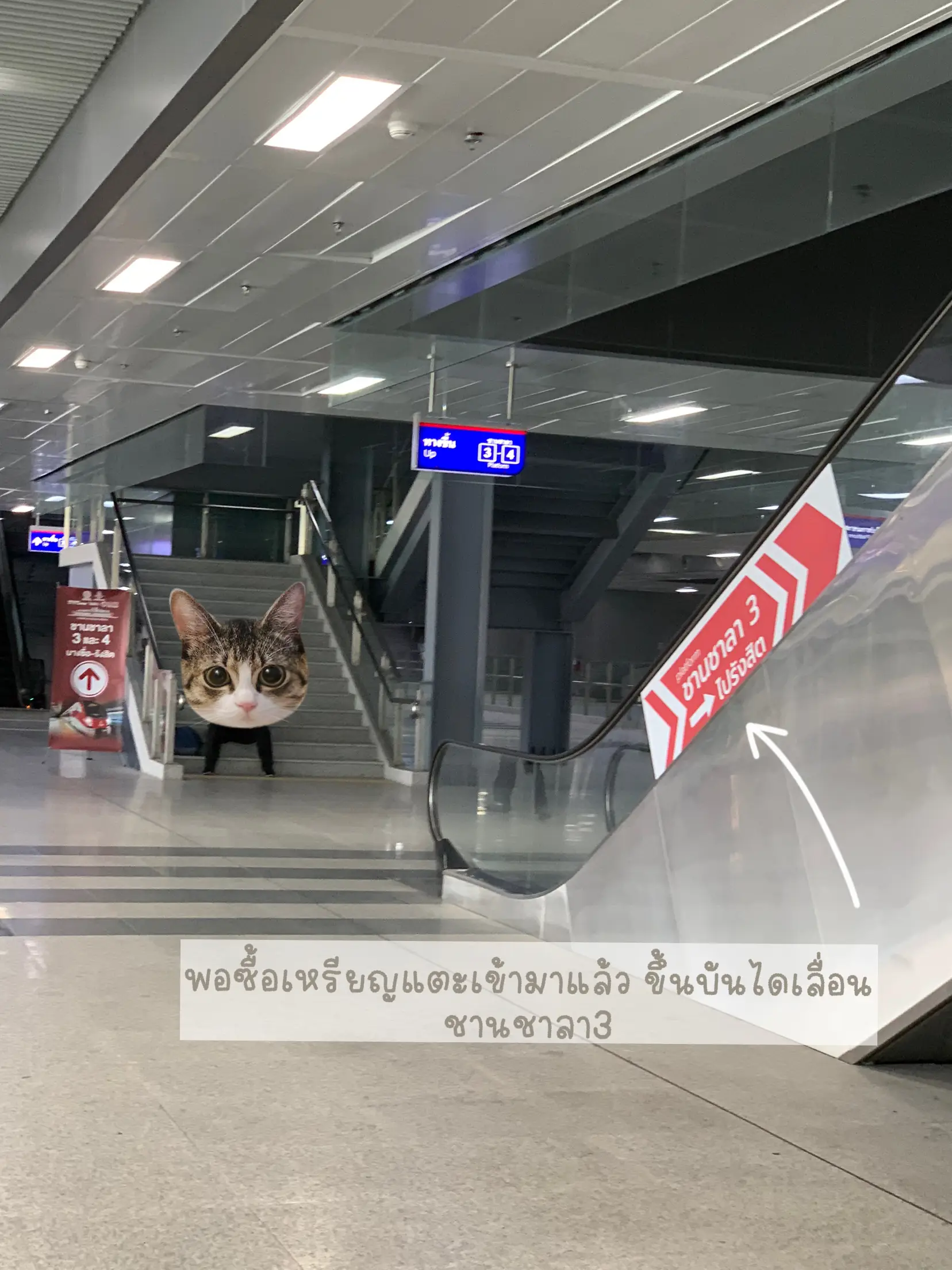 19 ไอเดียยอดนิยมเกี่ยวกับ วิธีขึ้น Mrtไปบรรทัดทอง ในปี 2024