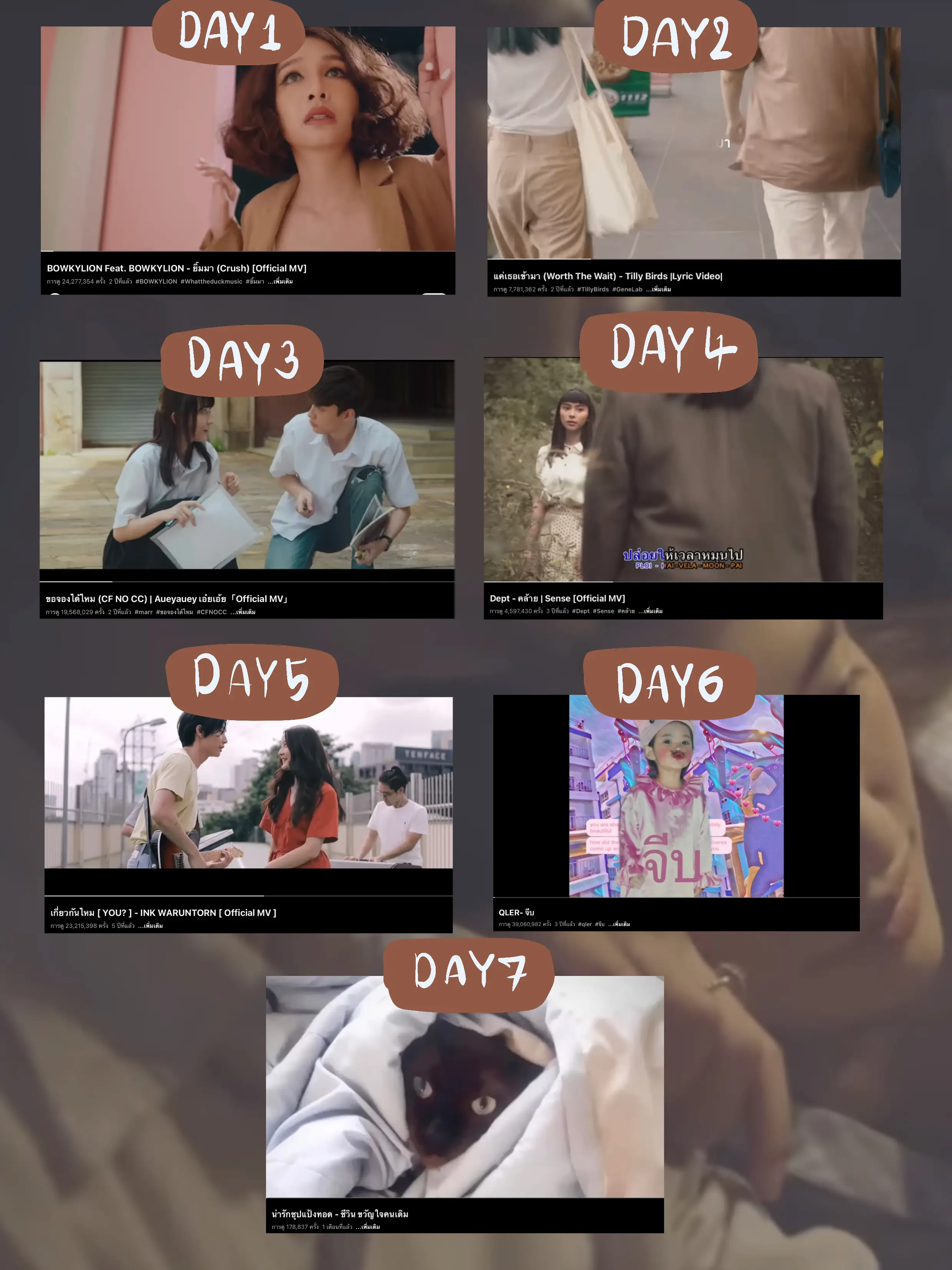 Music journal - การค้นหาใน Lemon8